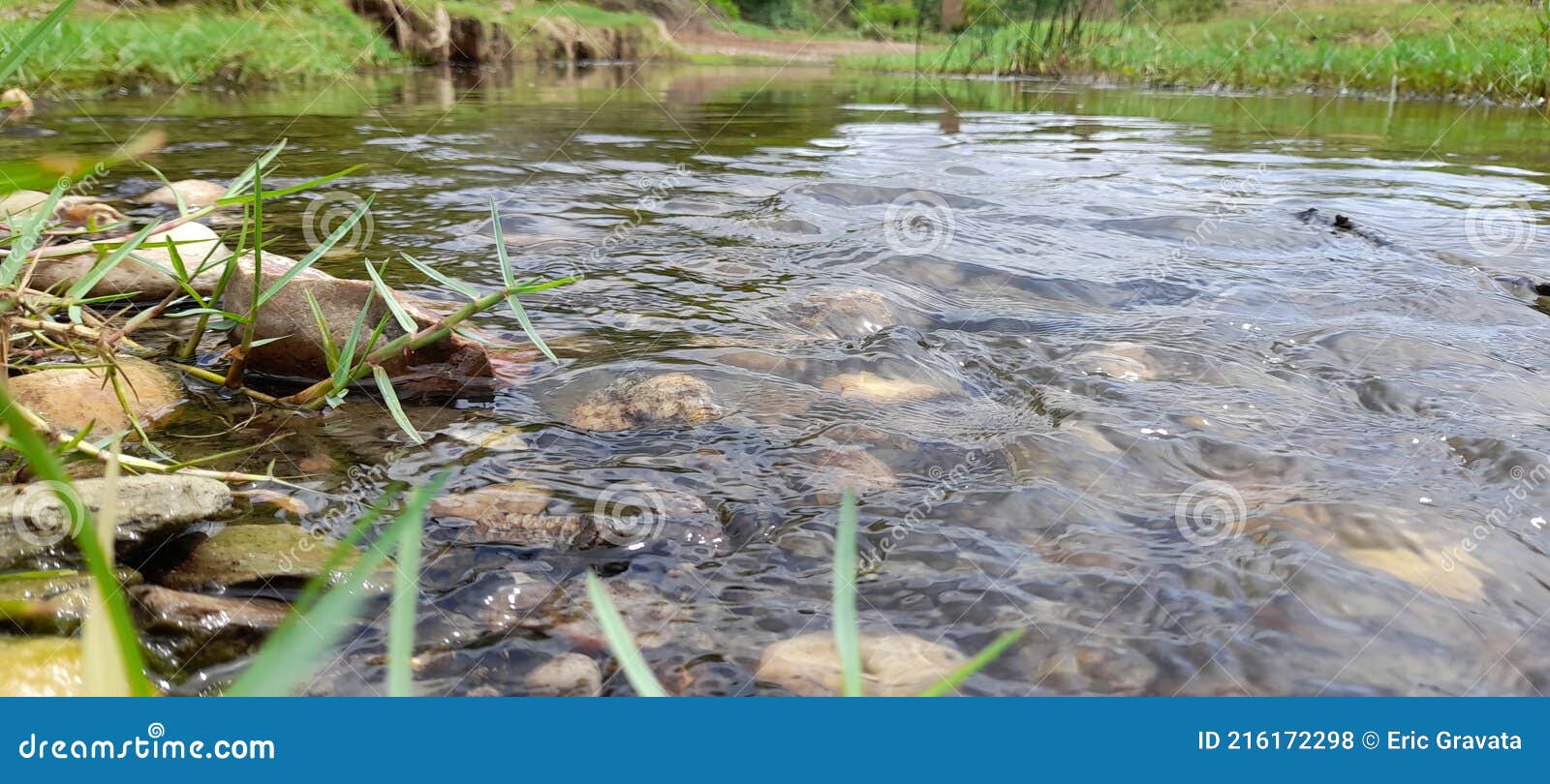 The Nature River Course in the Reverse is Beautiful Stock Photo - Image ...