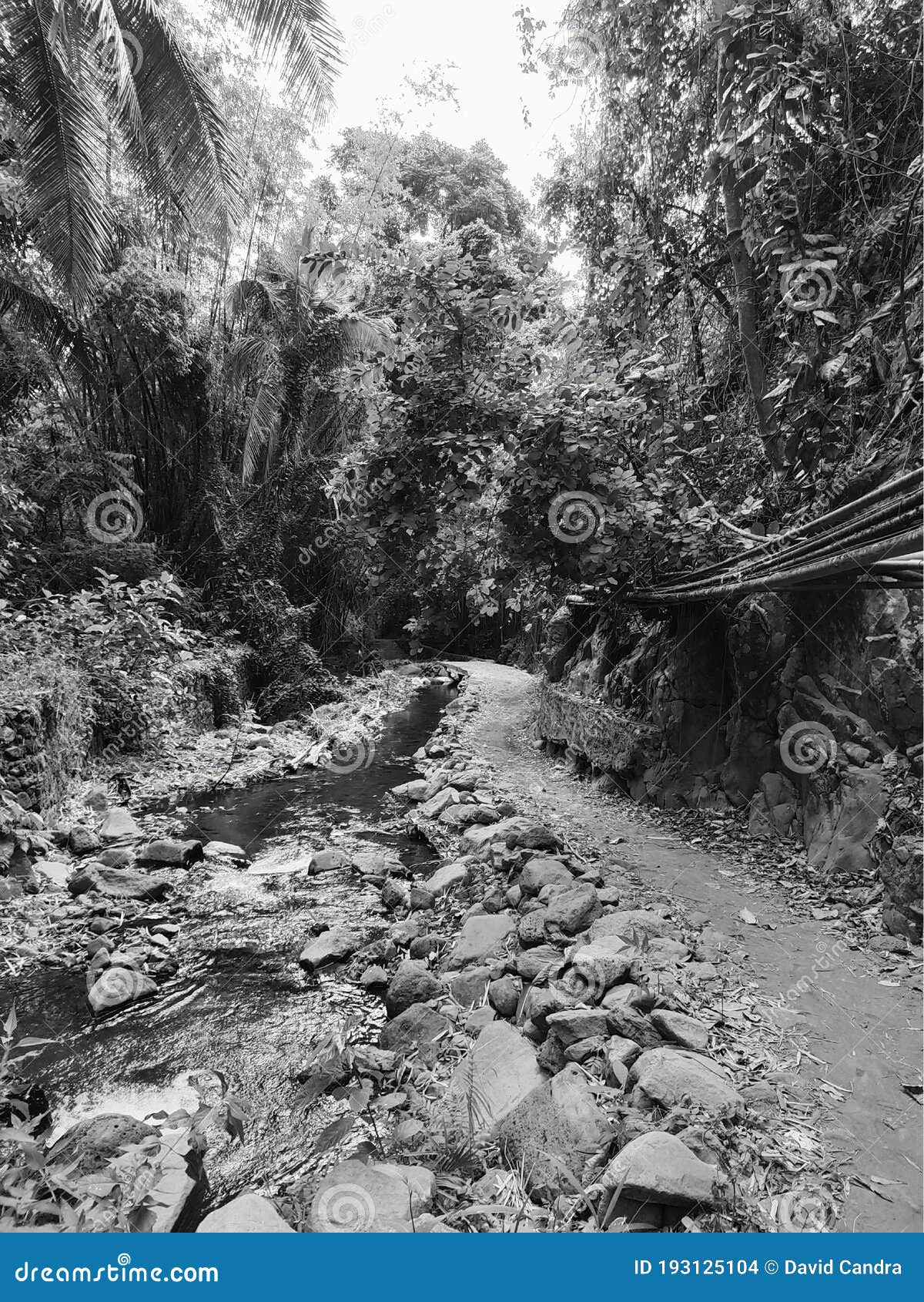 River stock photo. Image of river, forest, side, village - 193125104
