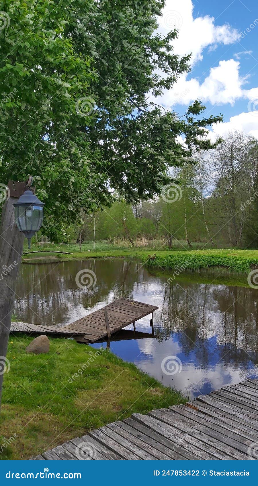 Nature by the River in Spring Near the Forest. Stock Photo - Image of ...