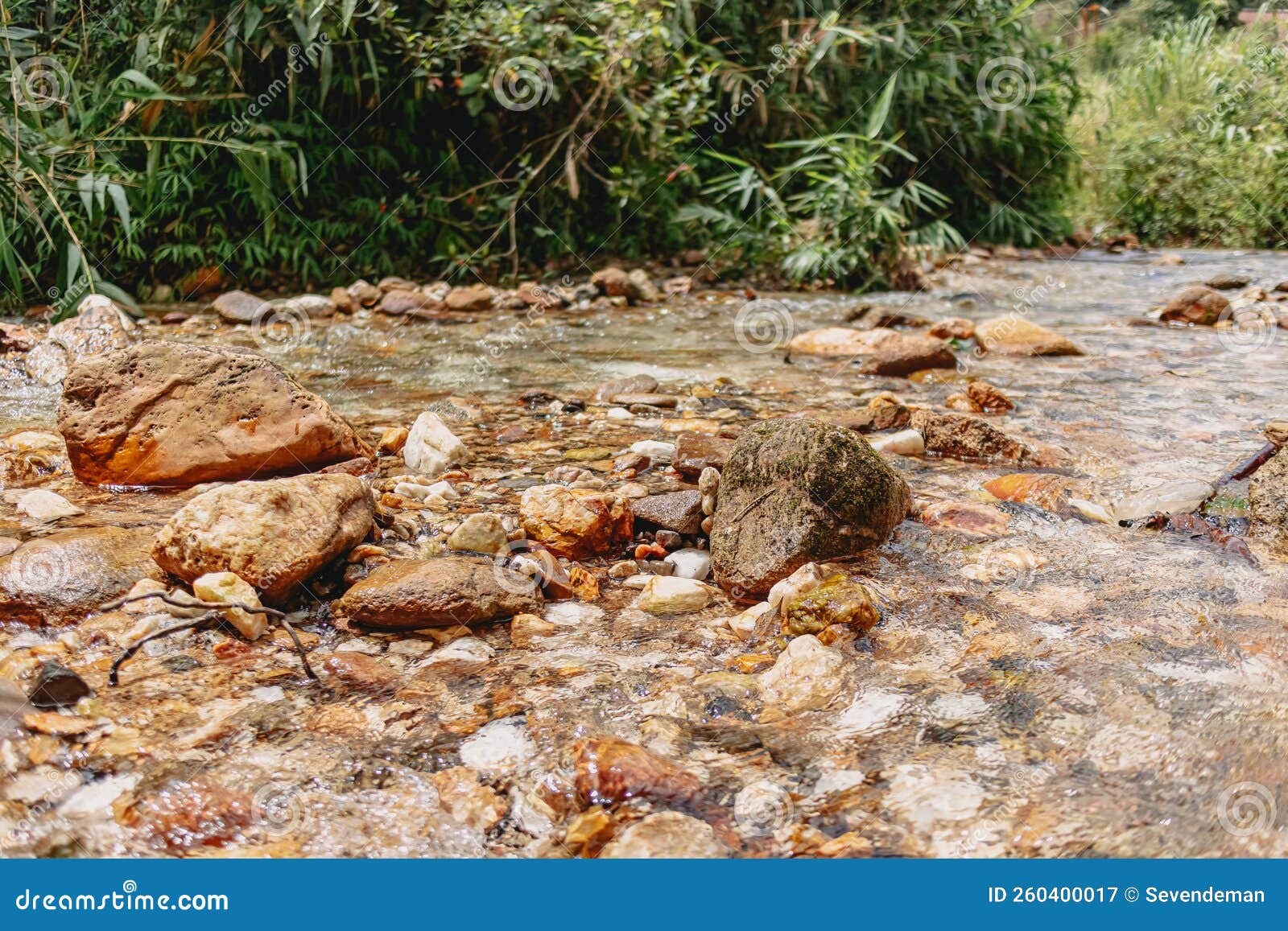 Nature River Stream of Tropical Forrest Stock Image - Image of scenic ...