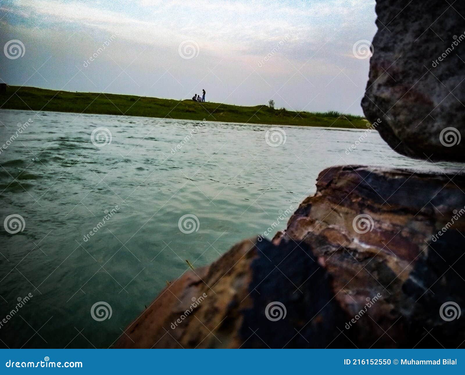 Nature in riverside stock photo. Image of tree, coast - 216152550