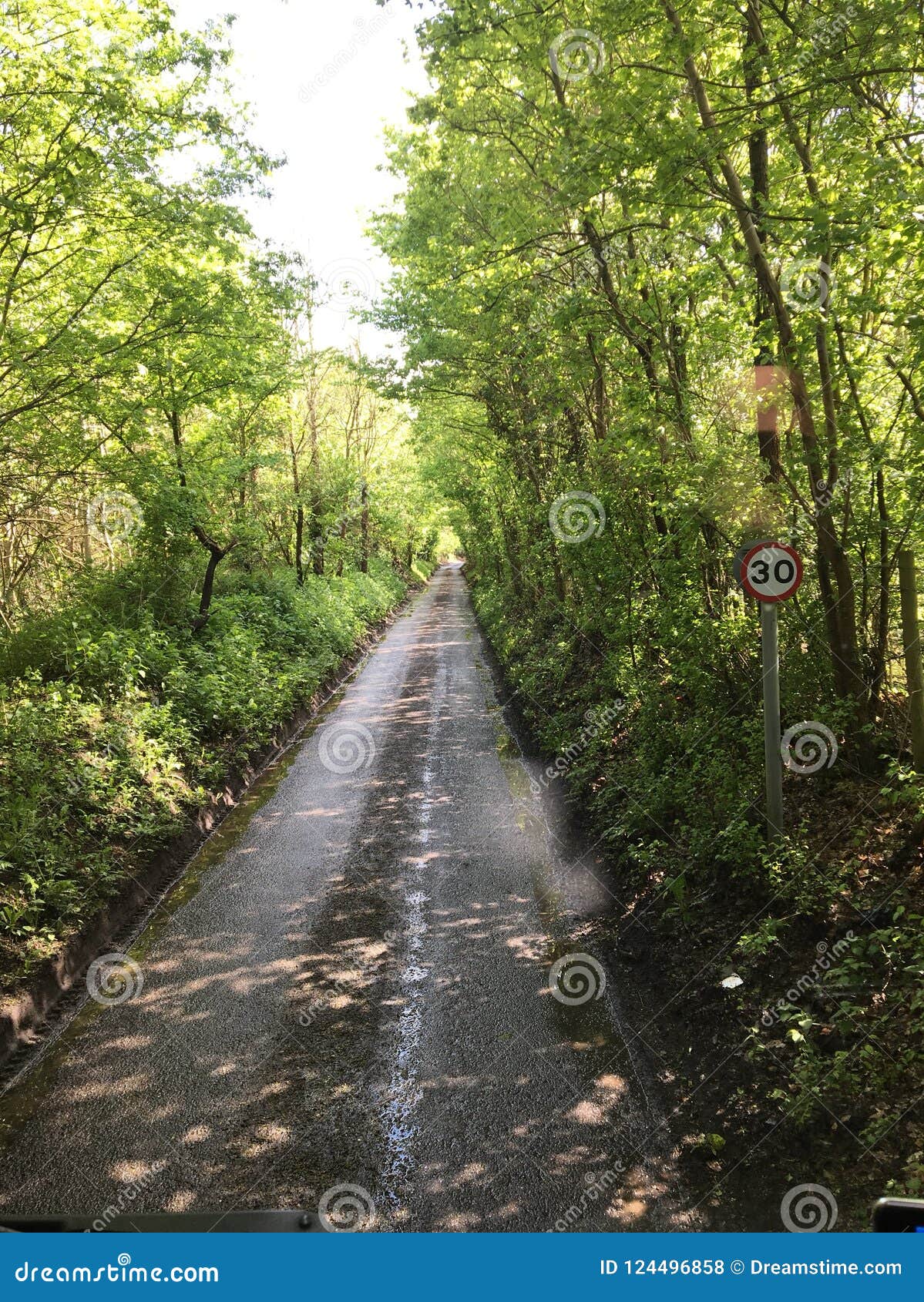 Nature stock photo. Image of road, sign, green, nature - 124496858