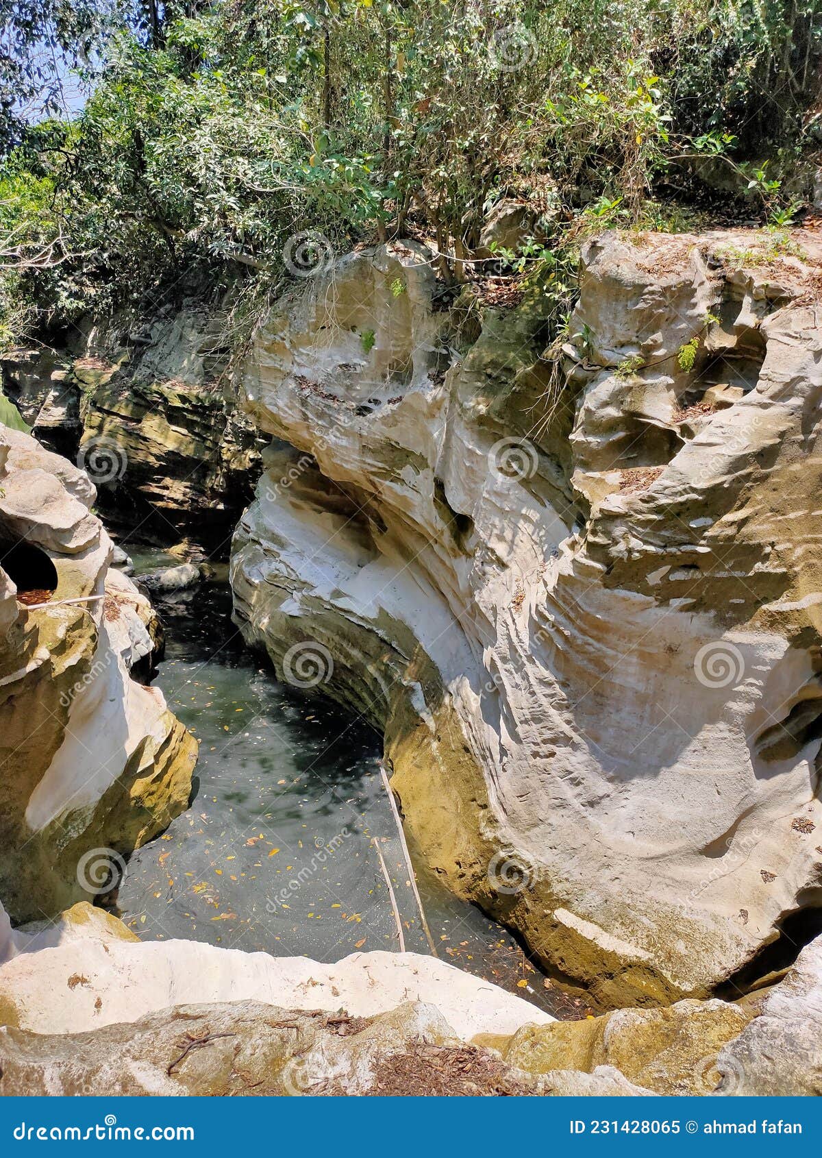 Nature rock water stock image. Image of terrain, plant - 231428065