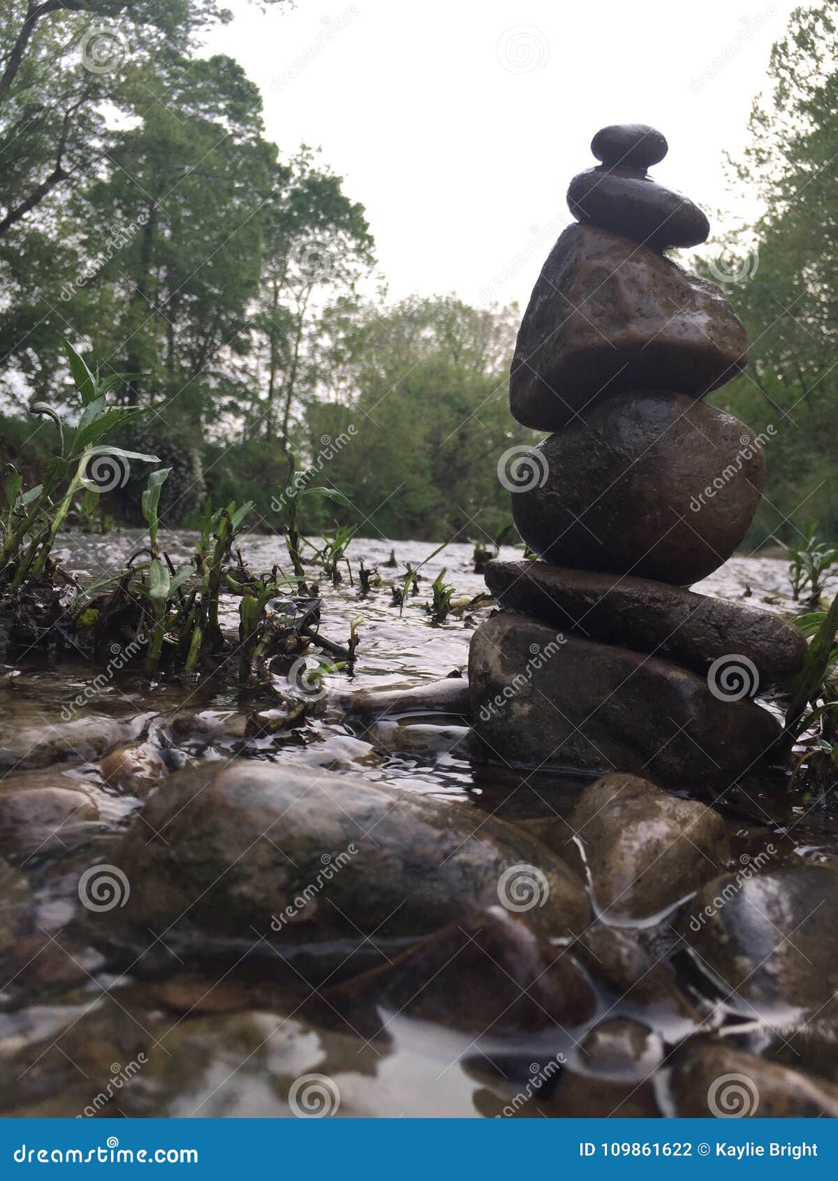 Nature stock photo. Image of trees, rocks, river, water - 109861622
