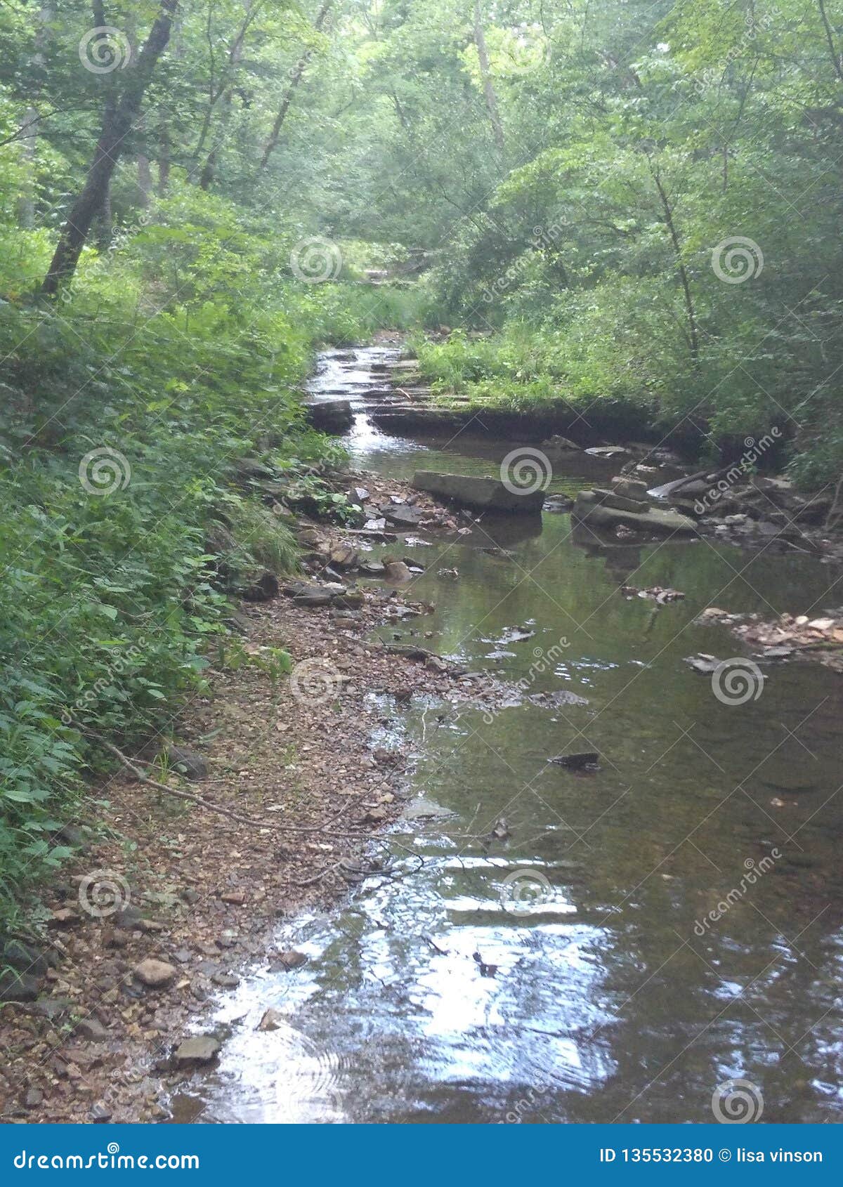 Nature stock photo. Image of nature, trees, water, rocks - 135532380