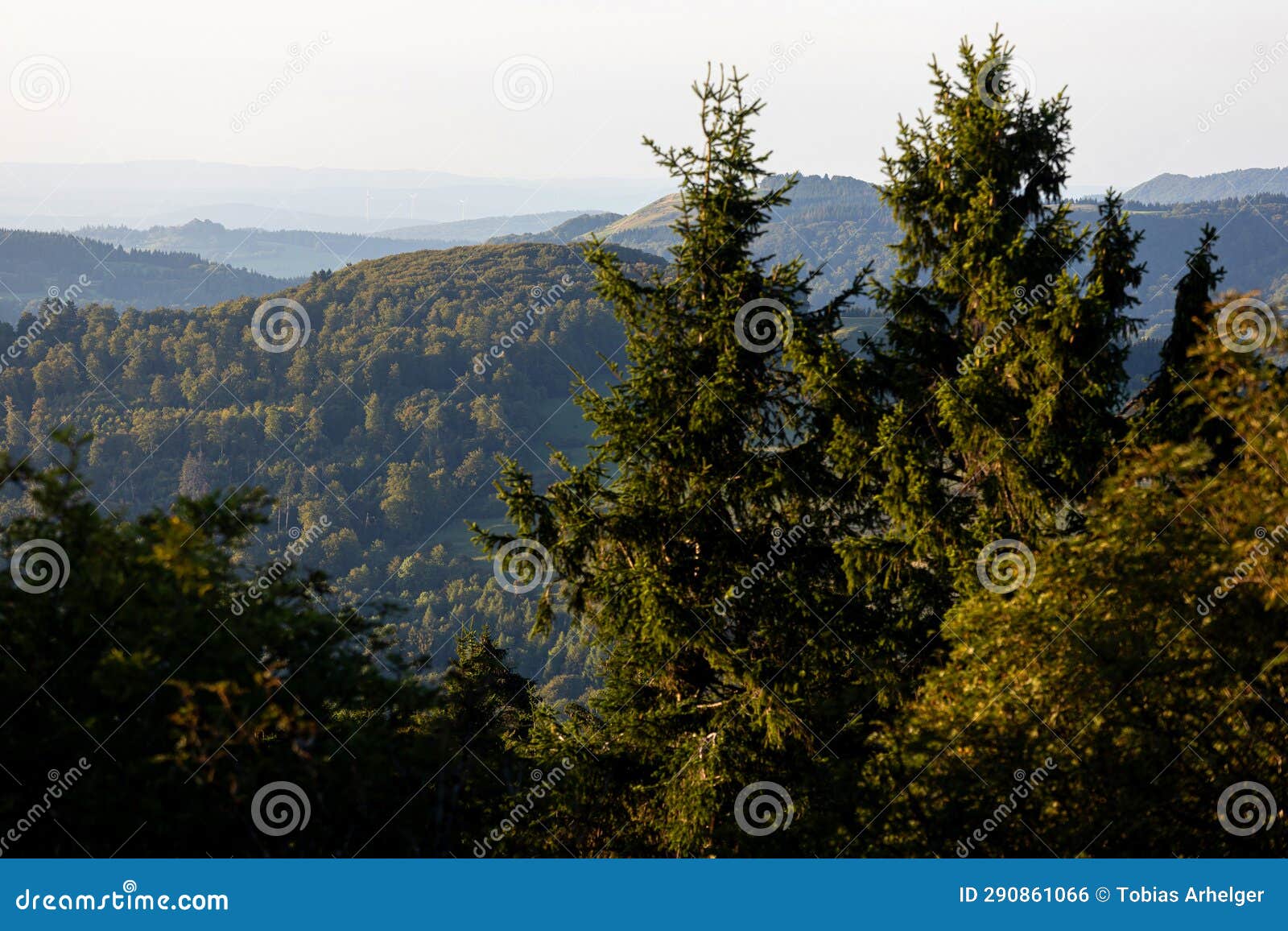 Nature of the Roehn Germany Stock Photo - Image of fulda, mountains ...