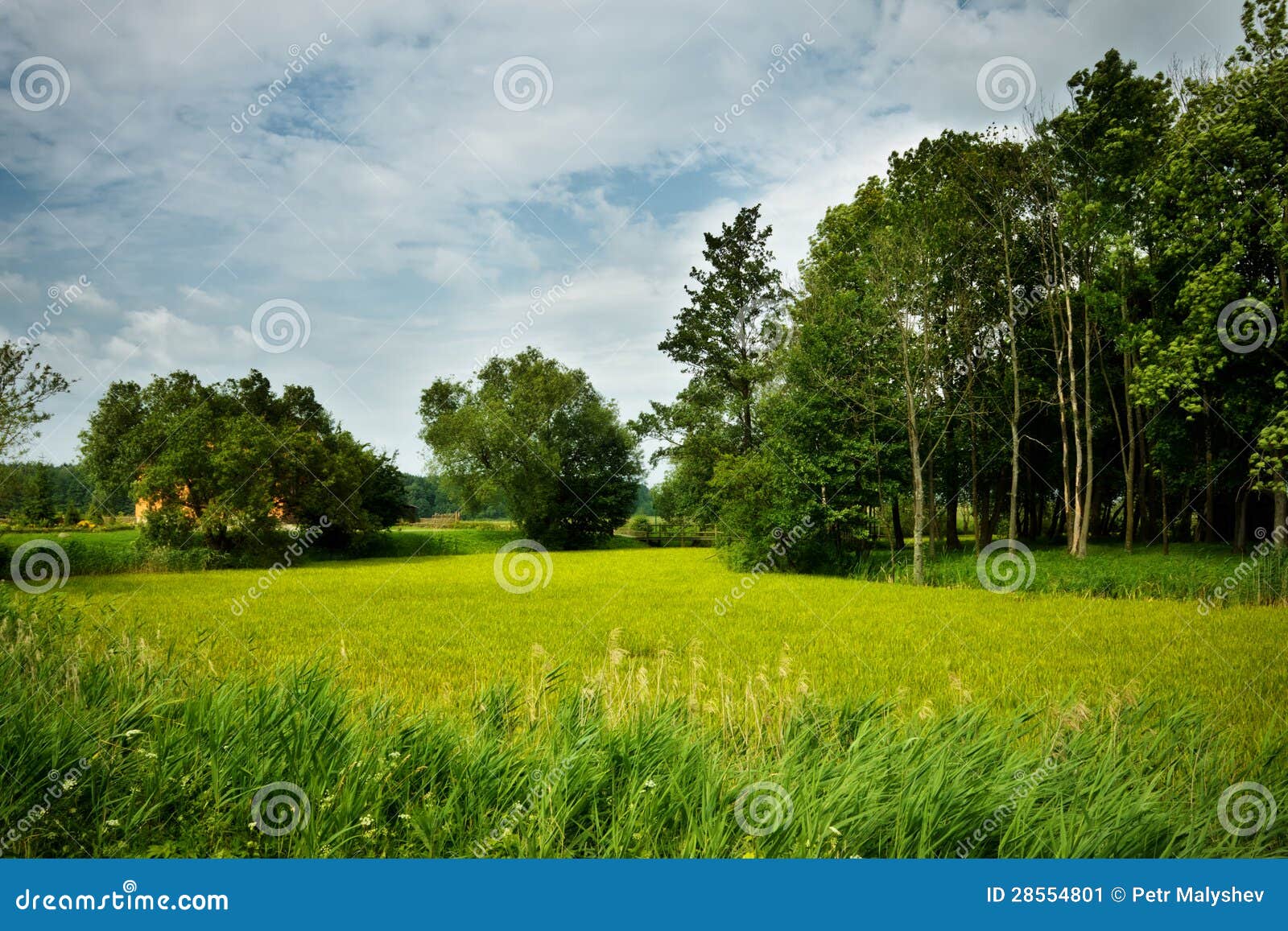 Nature Rural Landscape stock image. Image of beauty, countryside - 28554801