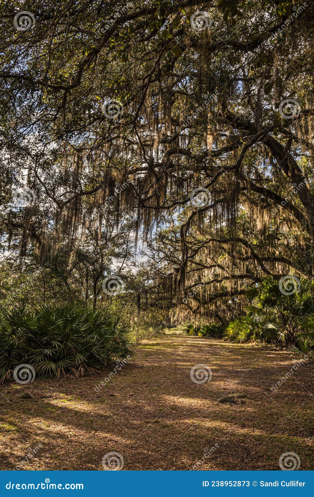 Arched Pathway Royalty-Free Stock Photography | CartoonDealer.com #31872401