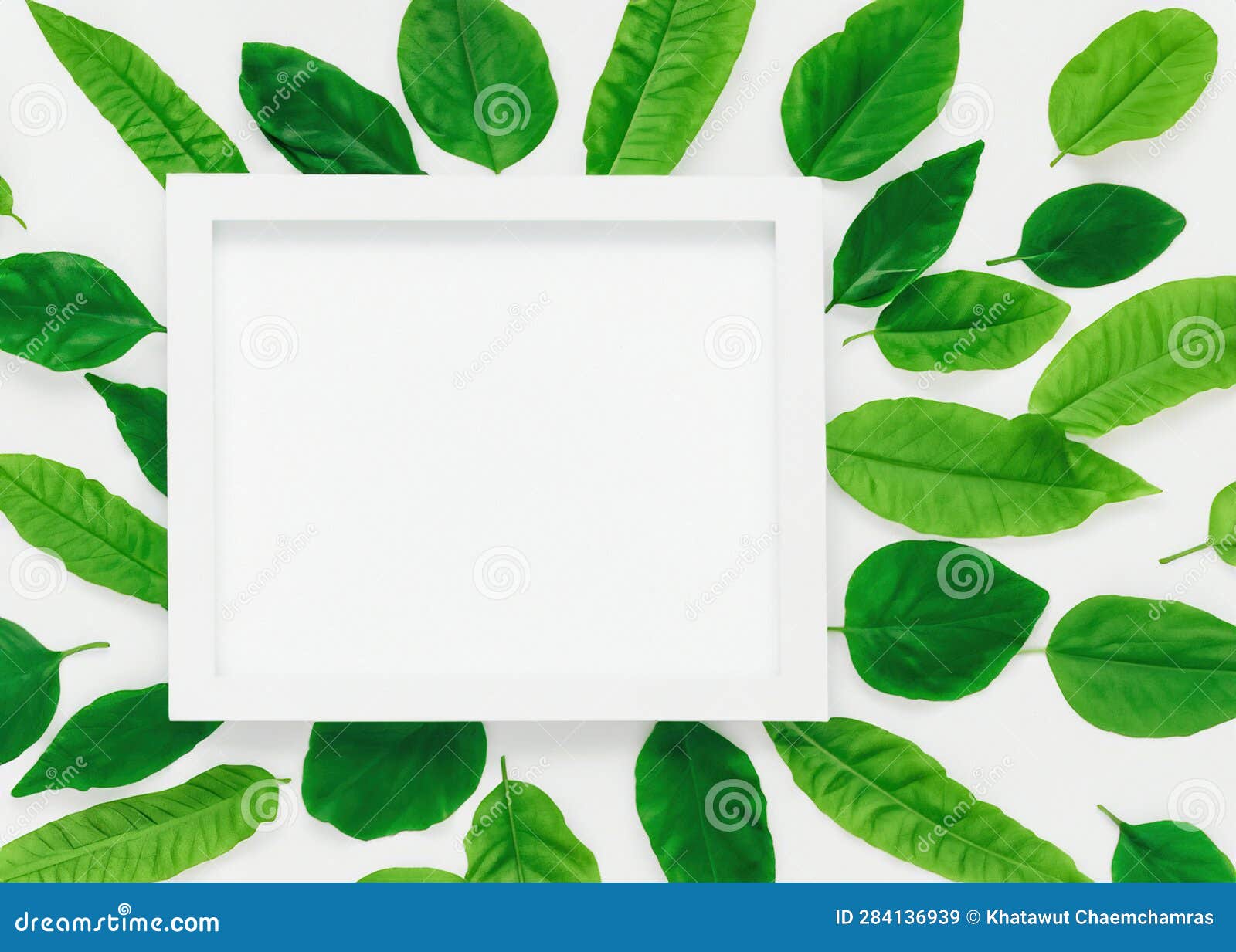 Nature S Artistry: Paper Frame with Green Leaf Border, on Green ...