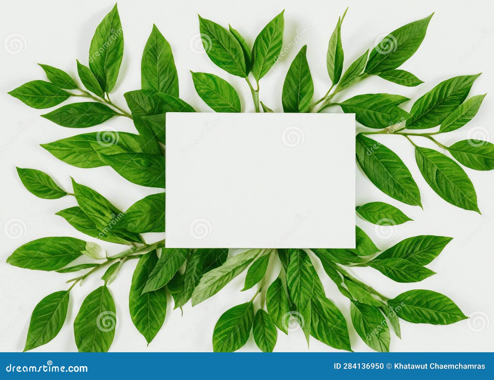 Nature S Artistry: Paper Frame with Green Leaf Border, Isolated on ...