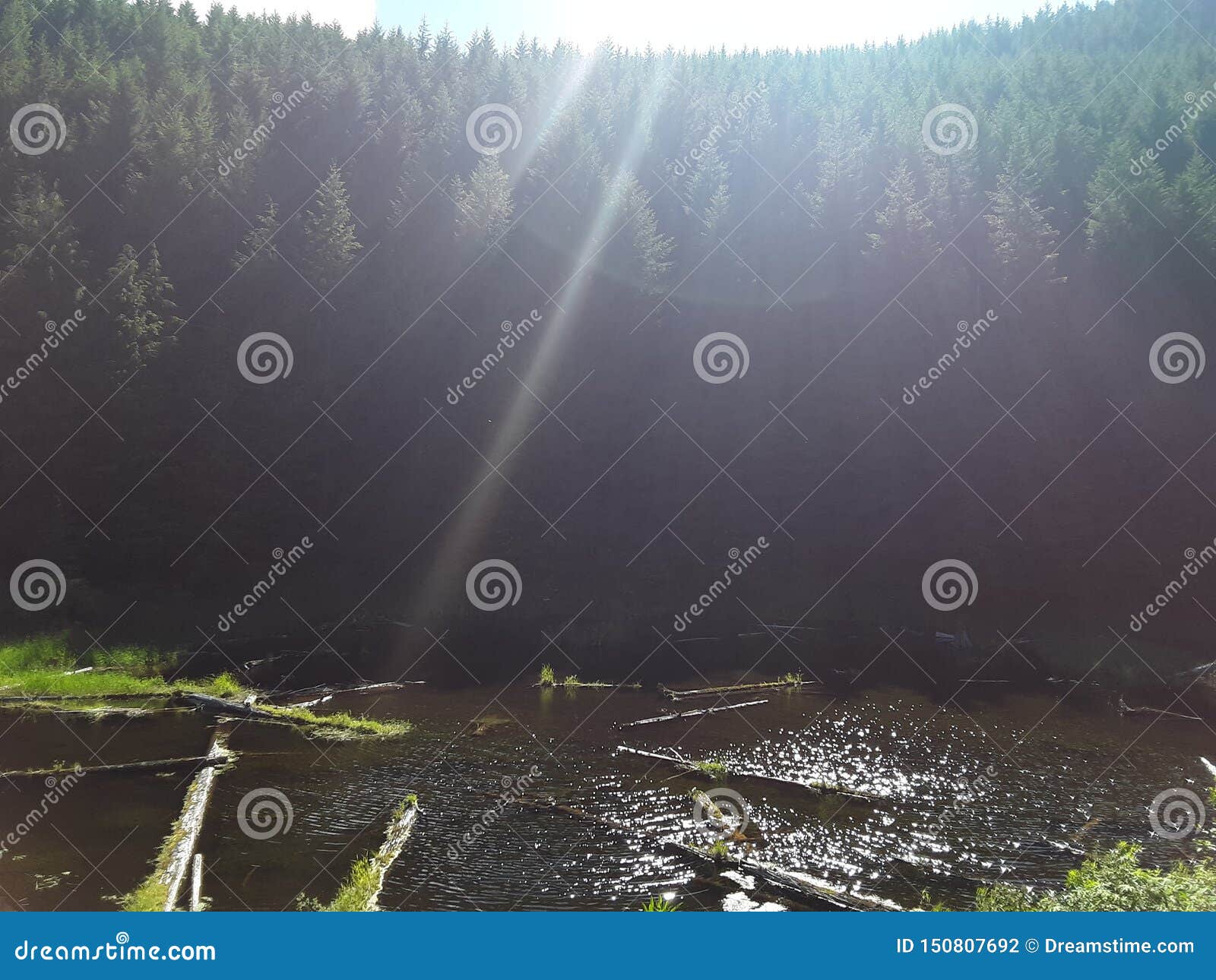Nature& X27;s Beautiful Marsh in the Mountain Side Stock Photo - Image ...