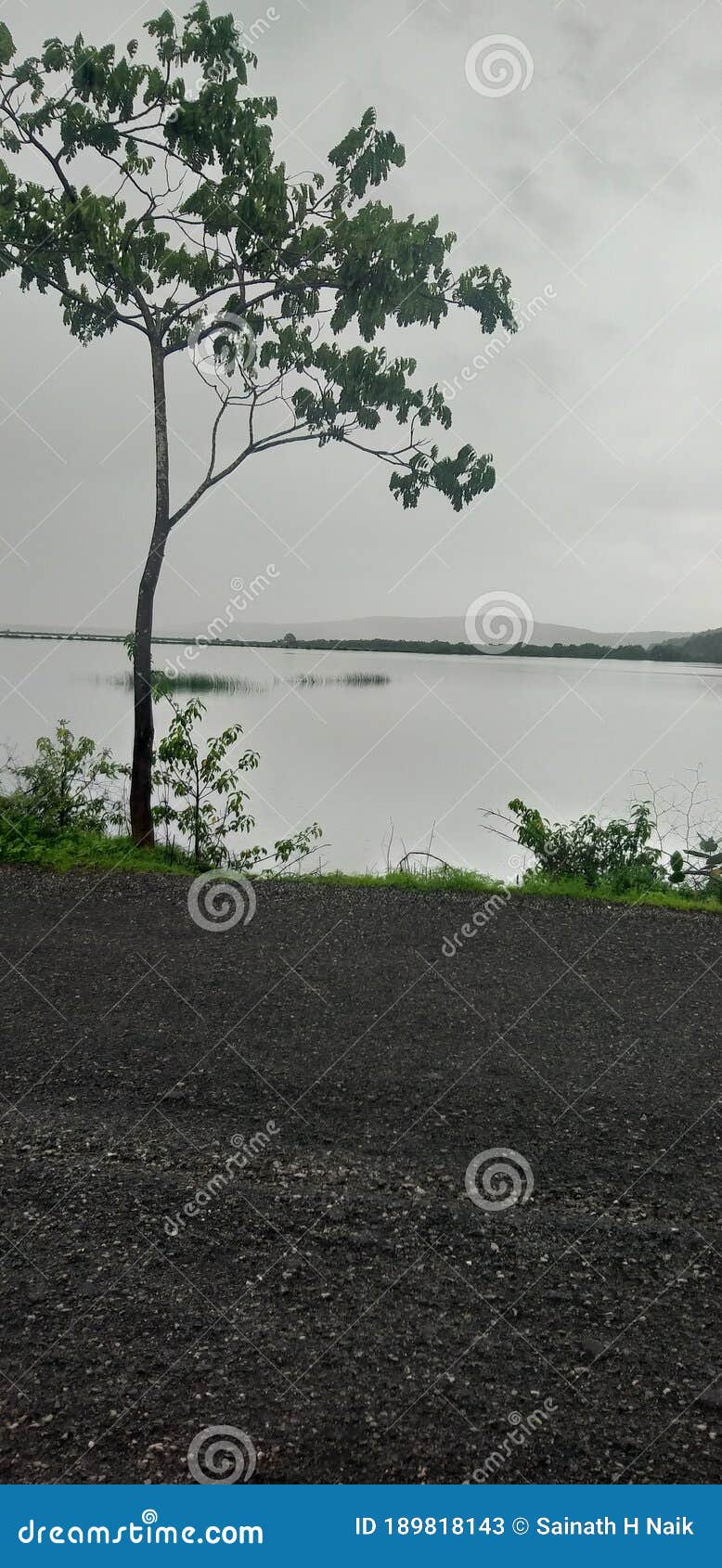 Natures Beauty of Ankola India Stock Image - Image of flower, twig ...