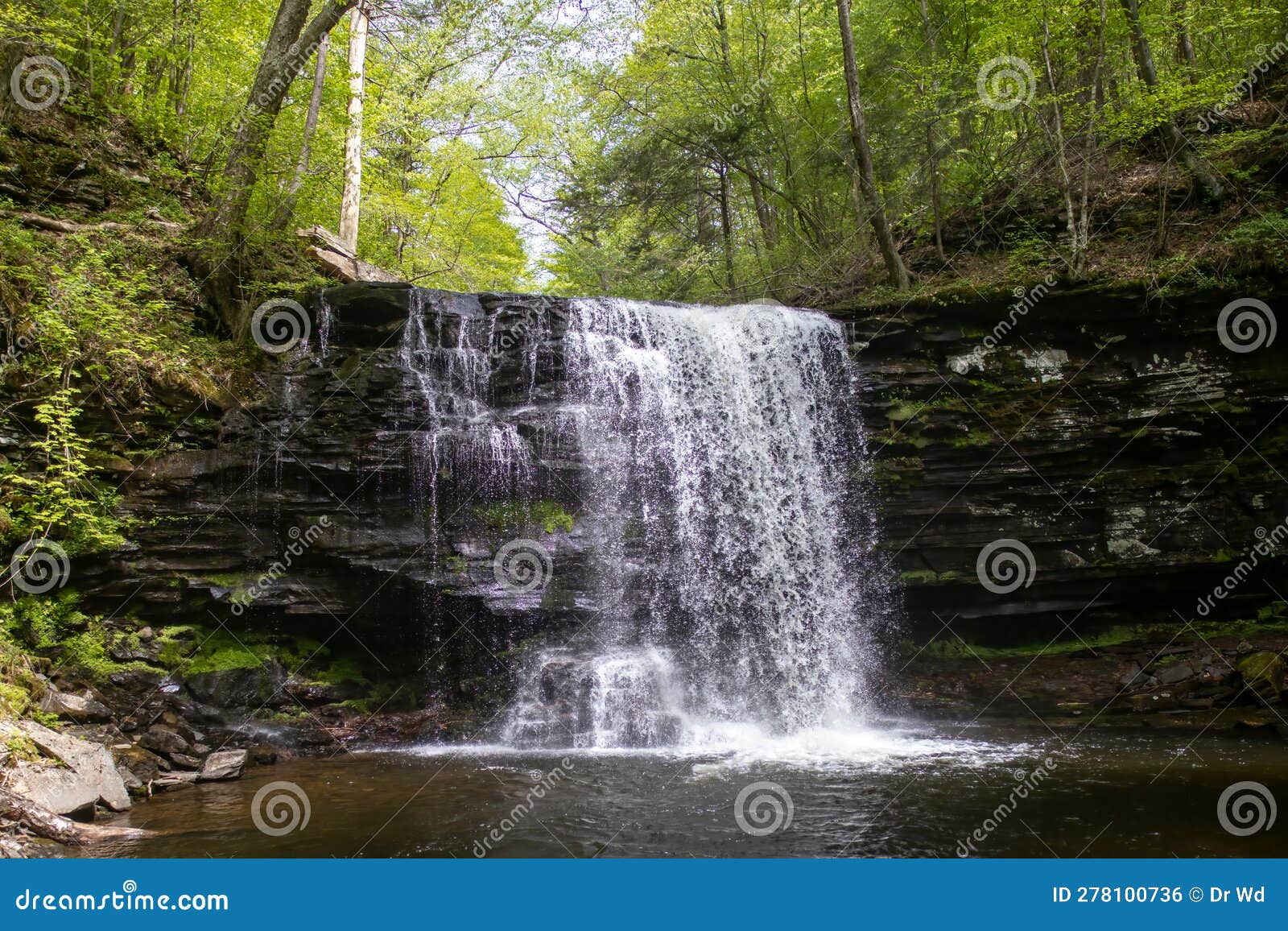 Nature S Elegance: a Medium-Sized Pennsylvania Waterfall Trailing Over ...