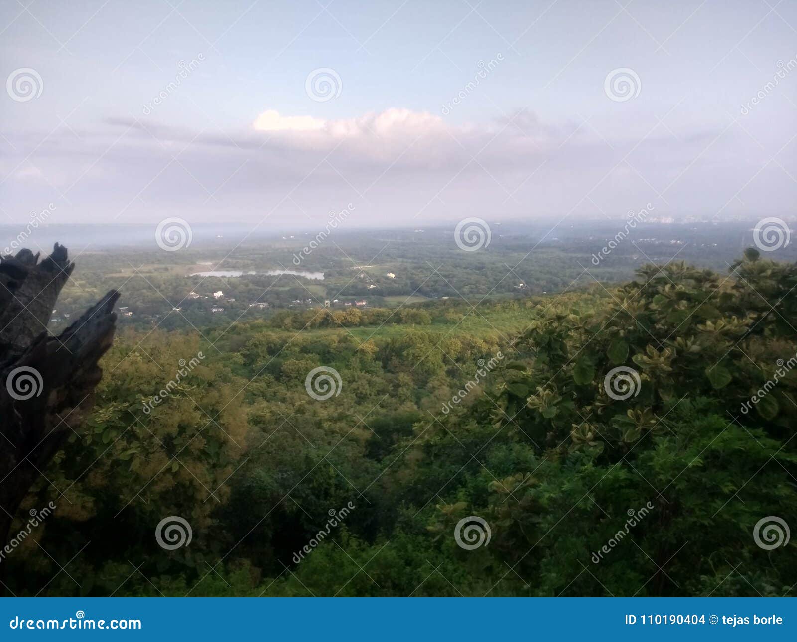 Nature& X27;s Green Infinity Editorial Stock Image - Image of natural ...