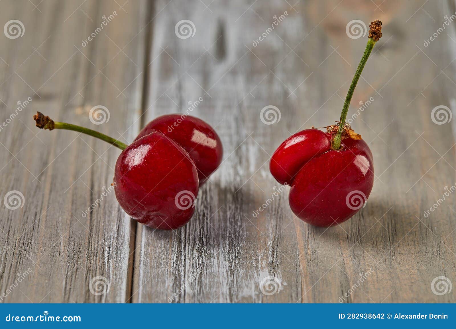 Nature S Oddity: Ugly, Irregularly Shaped Cherry Stands Out Against a ...