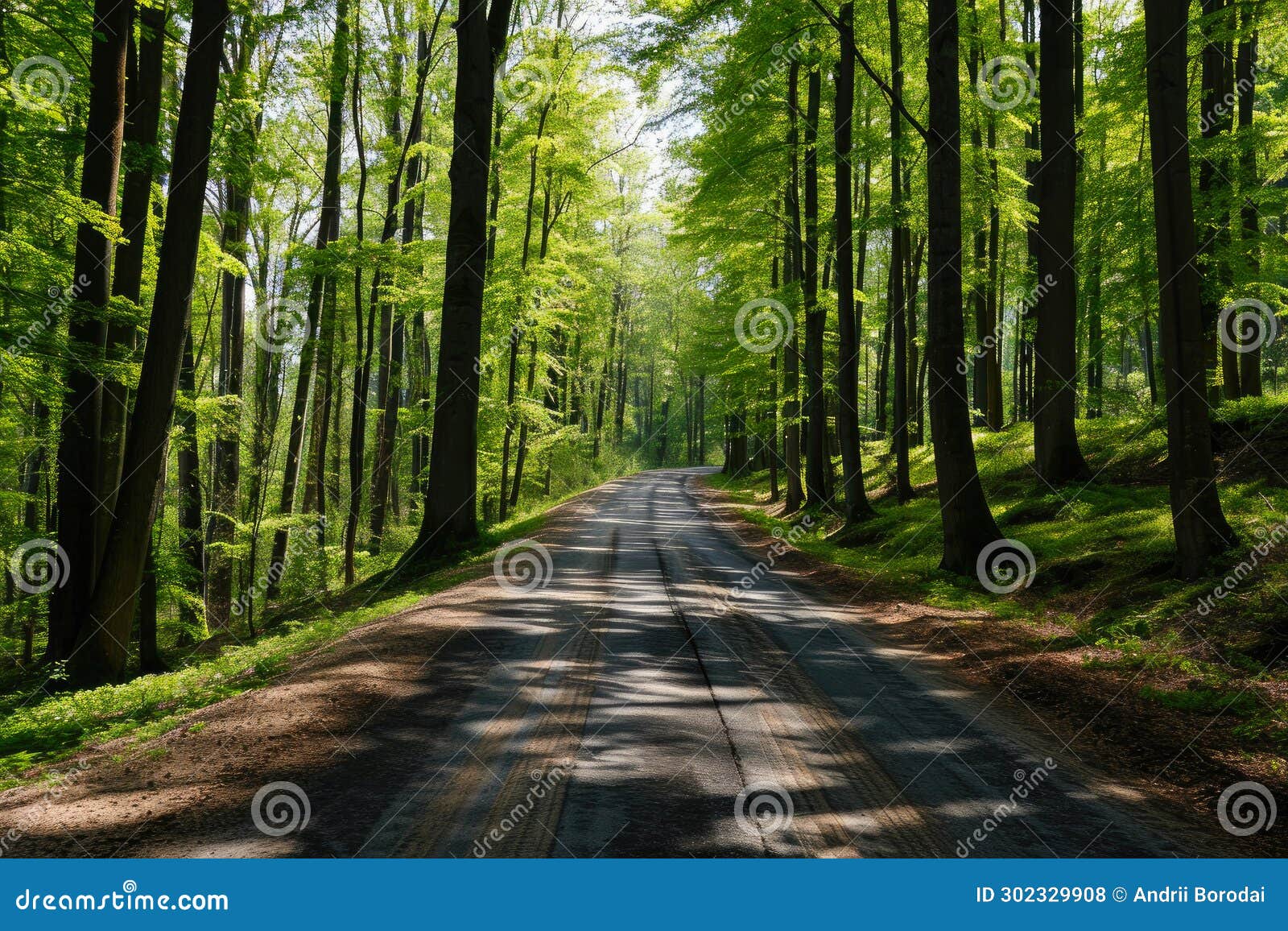 Bitumen Road Stock Image | CartoonDealer.com #32839729