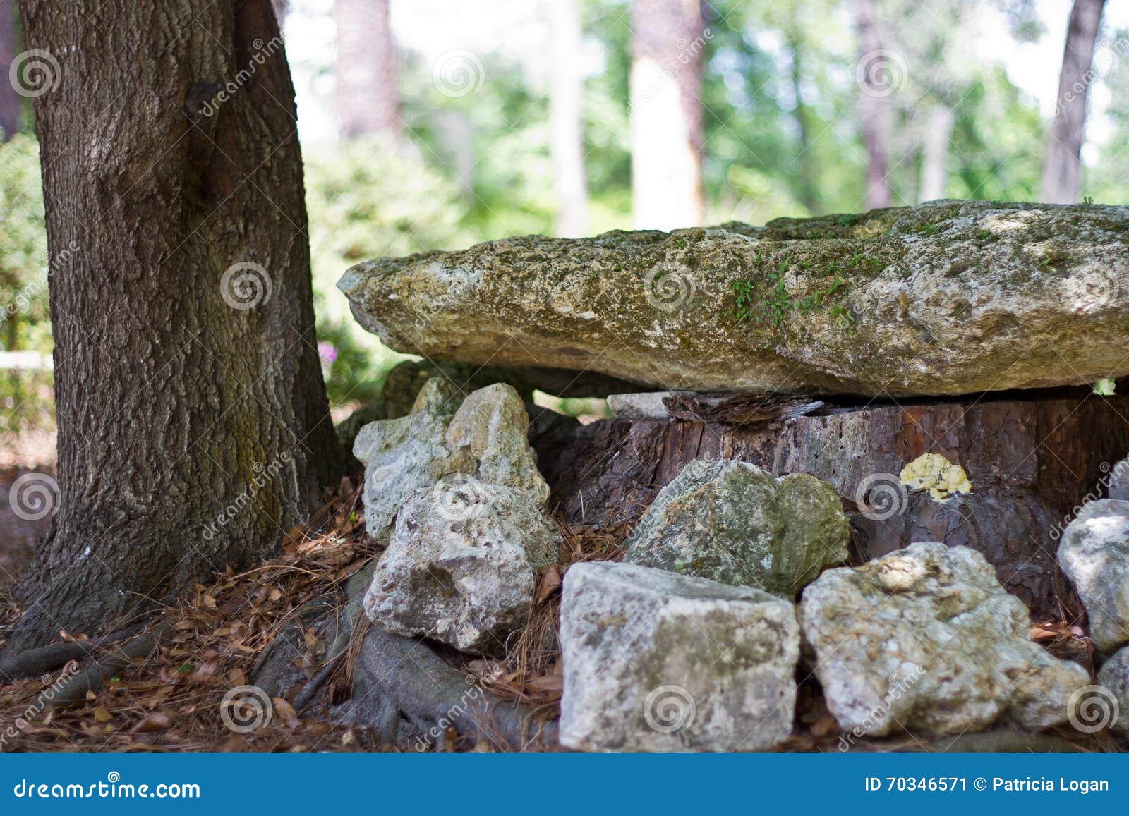Nature s Rock Bench stock image. Image of texture, serene - 70346571