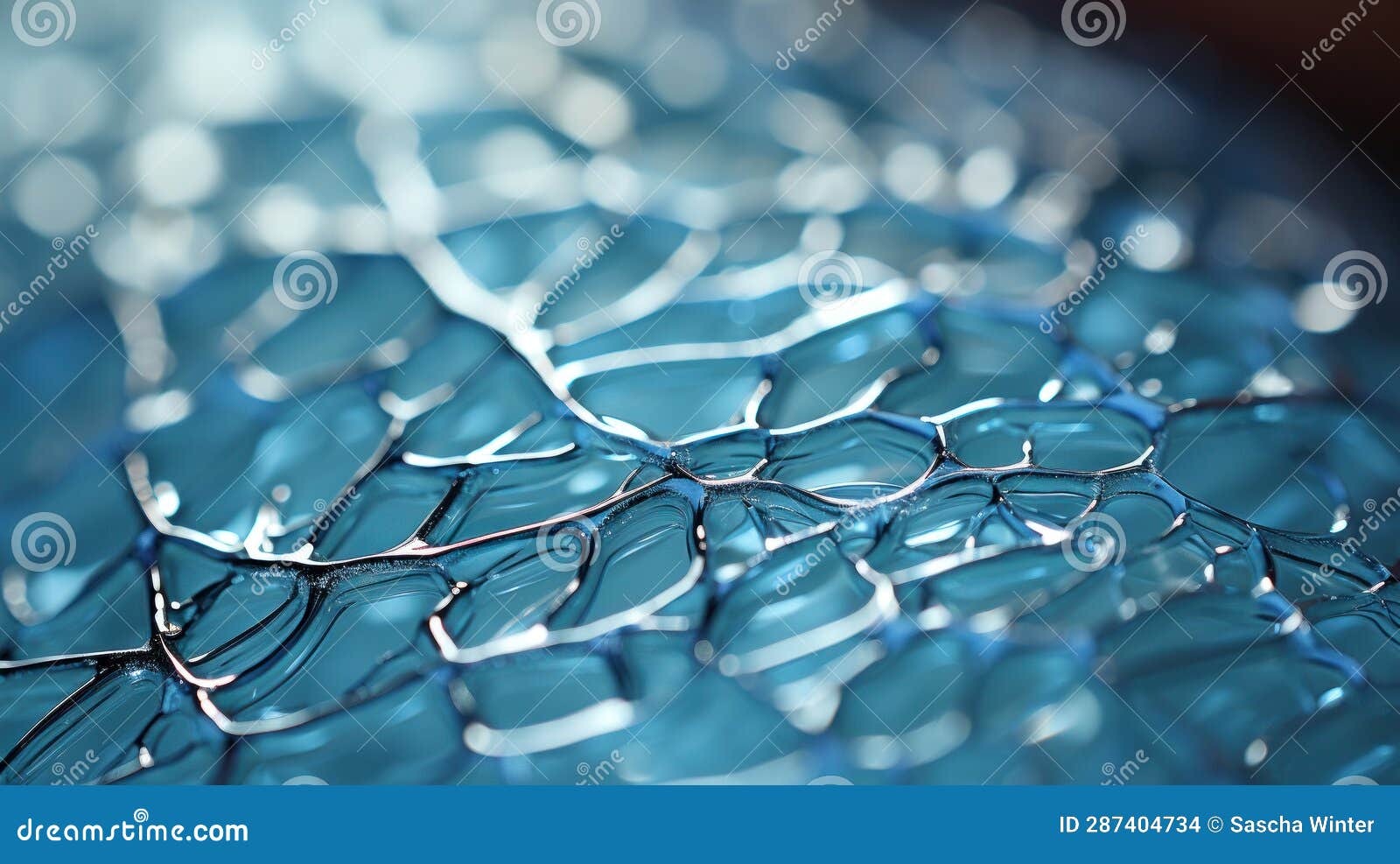 Nature S Sculpted Patterns: Biogenic Macrostructures Stock Illustration ...