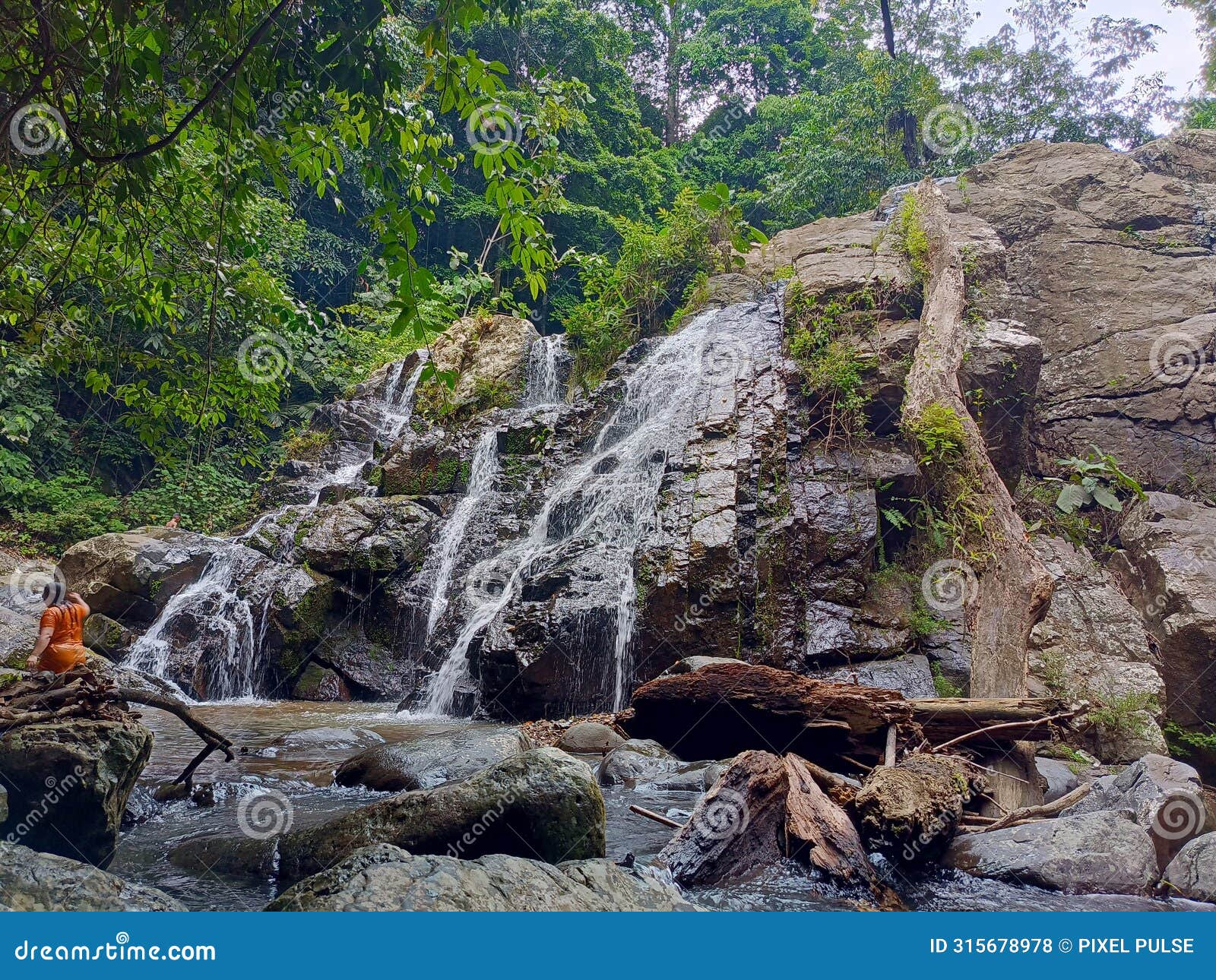 Nature’s Secret Hidden Waterfall in the Wilderness Stock Photo - Image ...