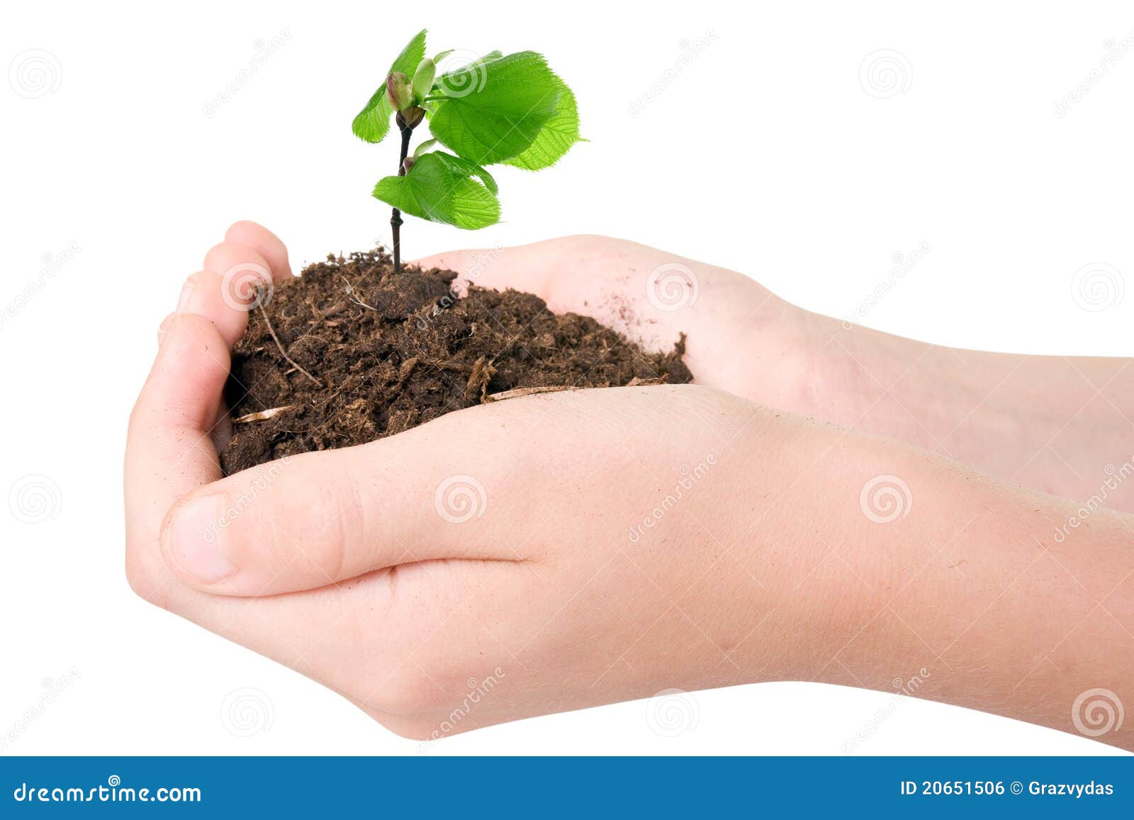 Nature saving stock photo. Image of concept, environmental - 20651506