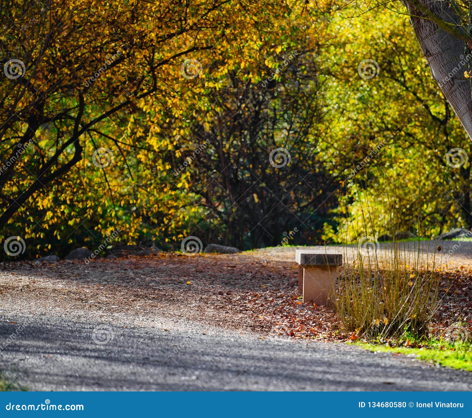 Nature Scene with Bench in a Public Park Stock Photo - Image of park ...