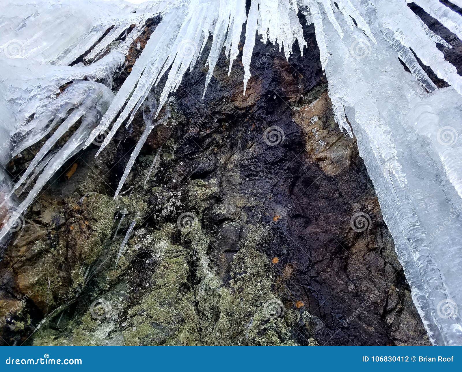 Nature Scene stock photo. Image of nature, parkway, scene - 106830412