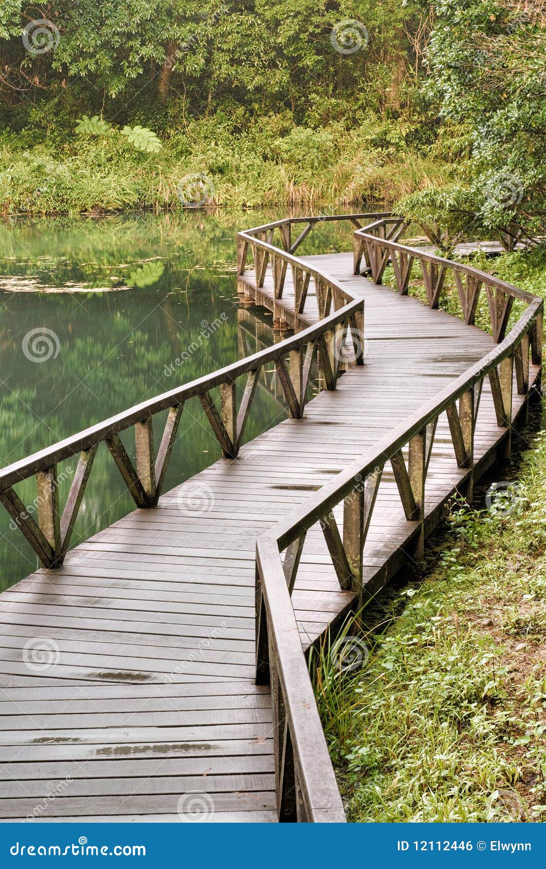 Nature scenery stock photo. Image of environment, brilliant - 12112446