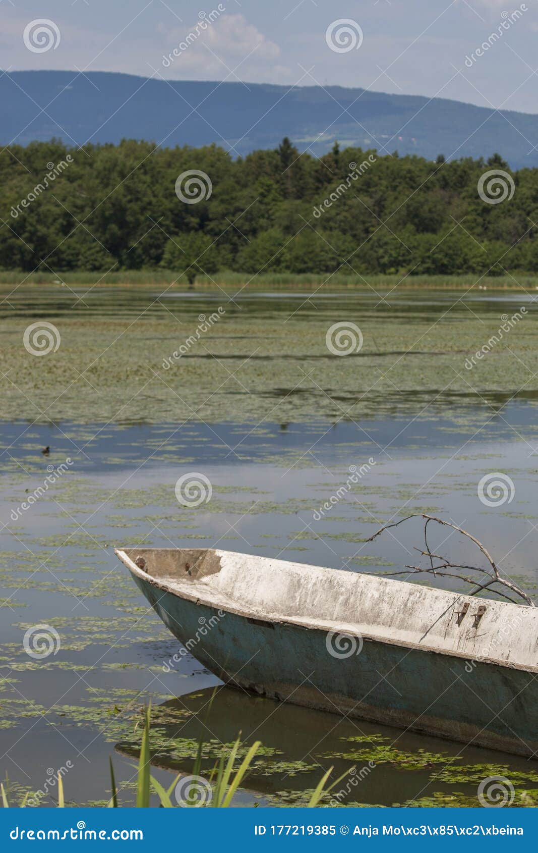 Nature Scenery with Boat on a Lake Stock Image - Image of green ...