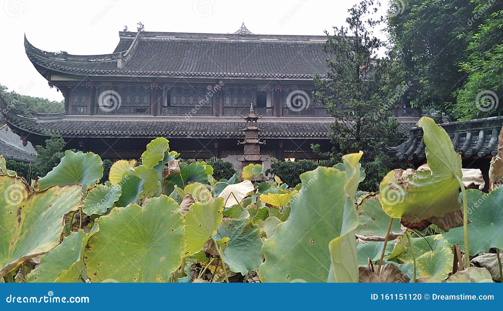 Iojj Stock Photos - Free & Royalty-Free Stock Photos from Dreamstime