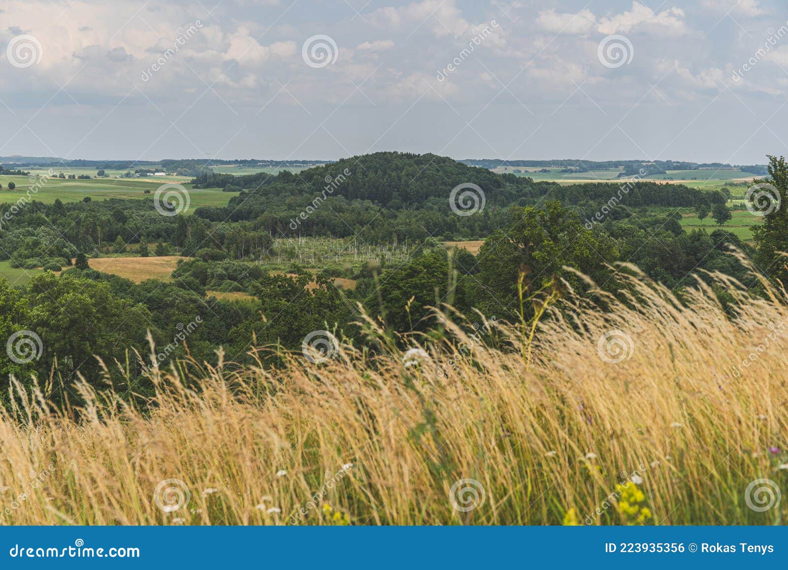 The Nature Scenery of Lithuania. Stunning Green and Forest Landscape ...