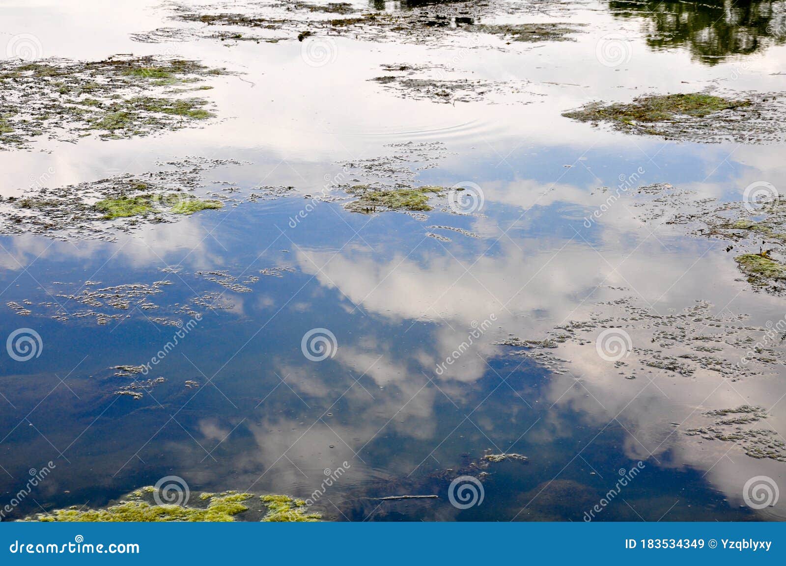 Nature Scenery Shadow Reflection Art On River Water As Wallpaper Stock ...