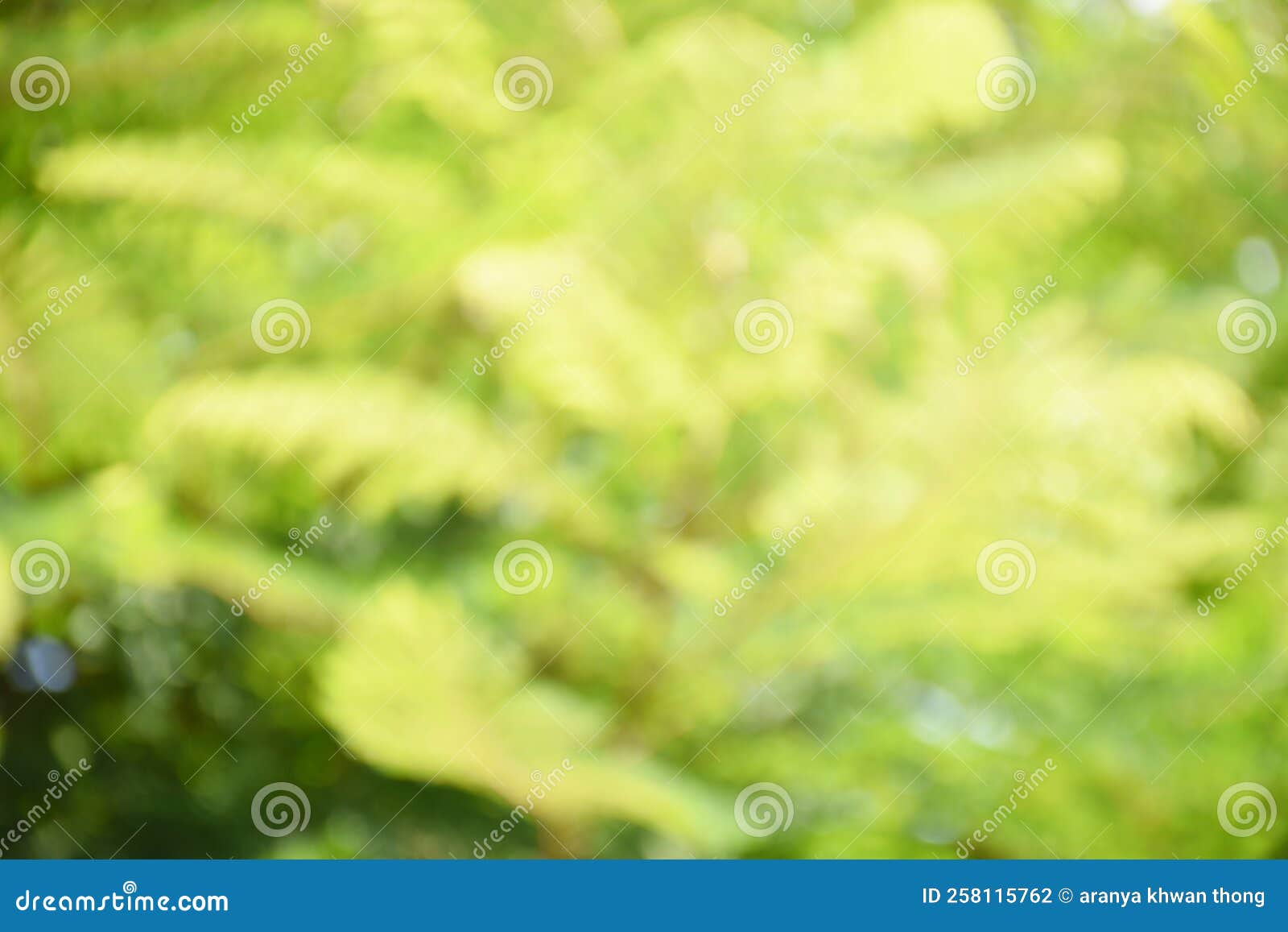 Nature Scenery with Tree Blur, Tree Blur Background, Blur Background ...