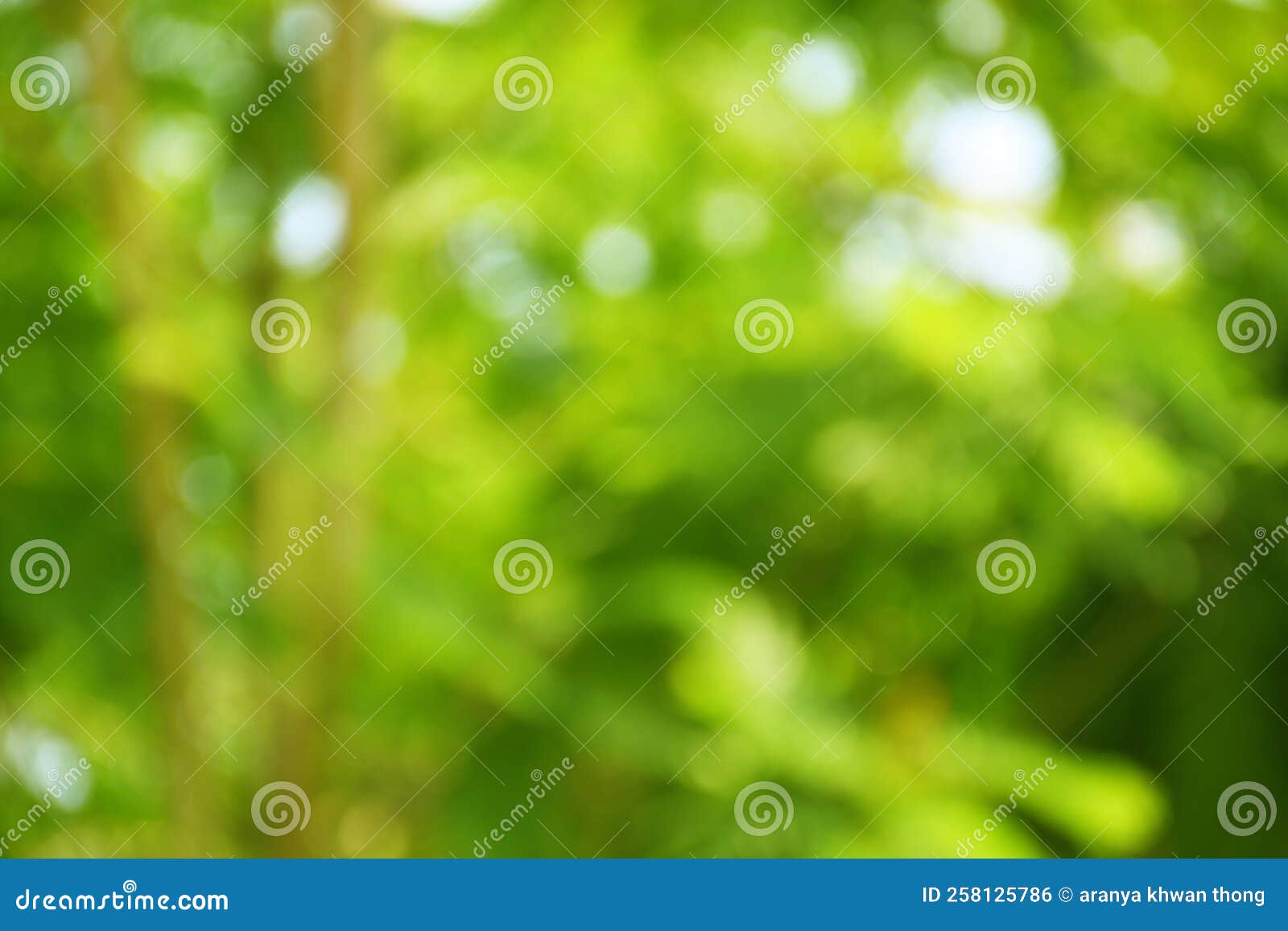 Nature Scenery with Tree Blur, Tree Blur Background, Blur Background ...