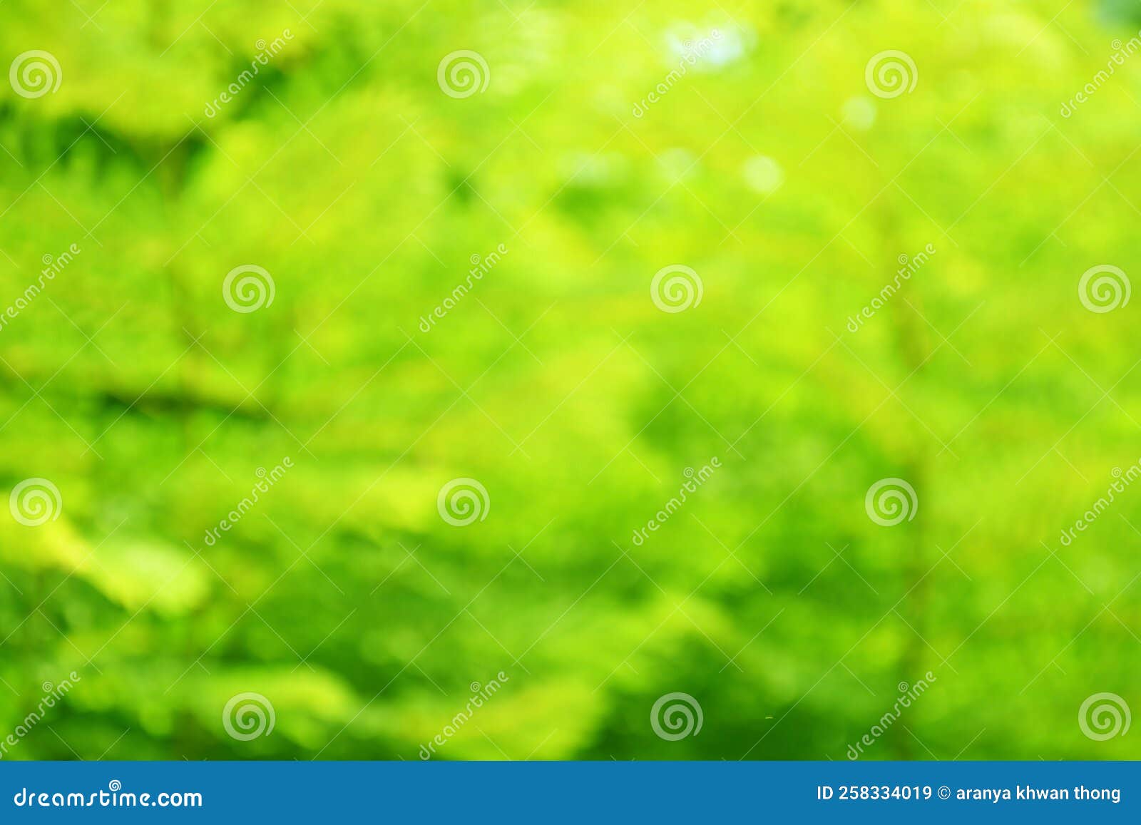 Nature Scenery with Tree Blur, Tree Blur Background, Blur Background ...