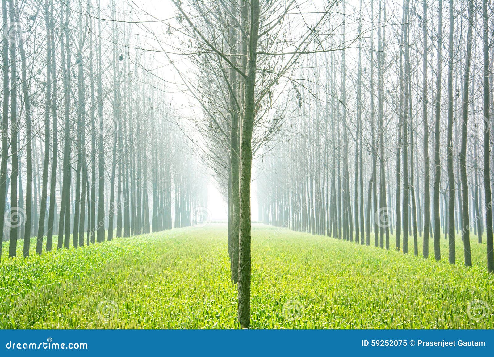 Nature,Scenic,beautiful Partition, Stock Image - Image of great, asian ...