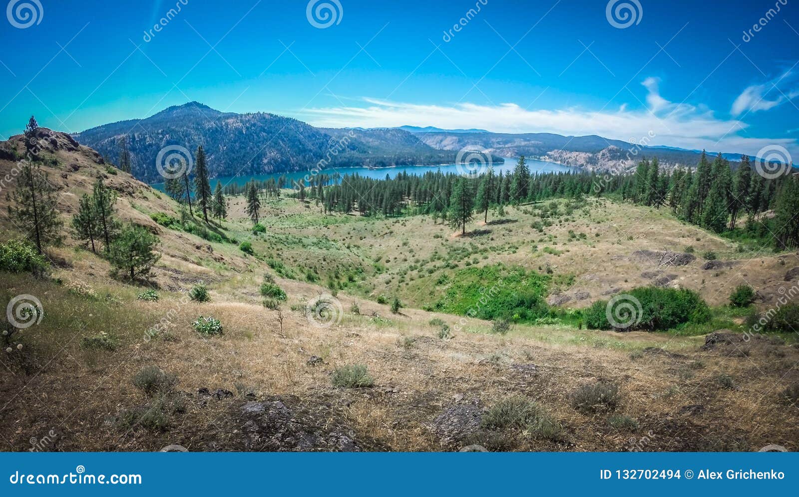 Nature Scenics Around Spokane River Washington Stock Photo - Image of ...