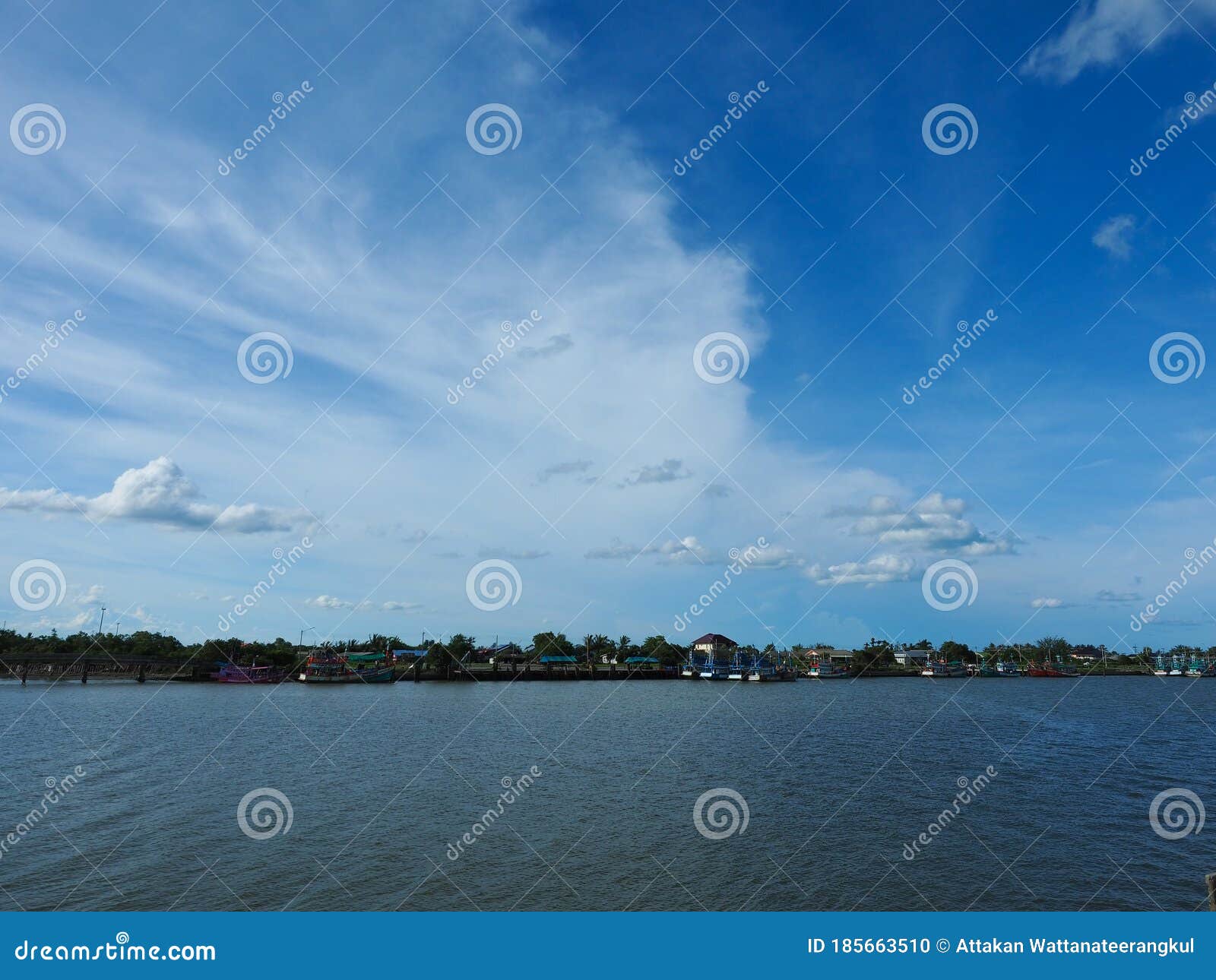 Nature , sea sky and tree stock photo. Image of dusk - 185663510