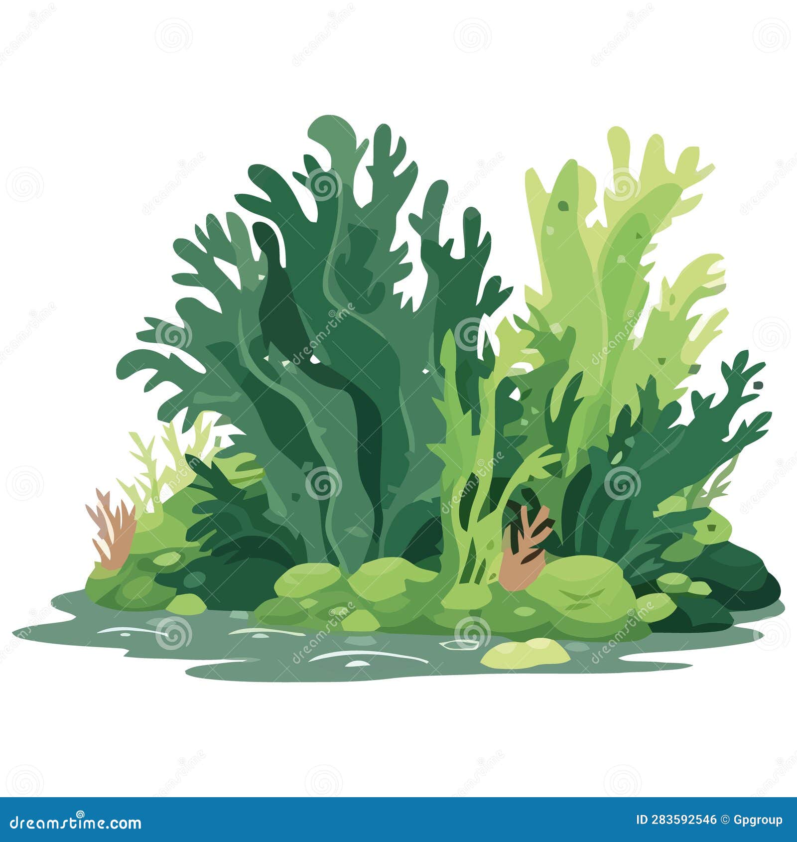 Nature seaweed design stock vector. Illustration of reef - 283592546