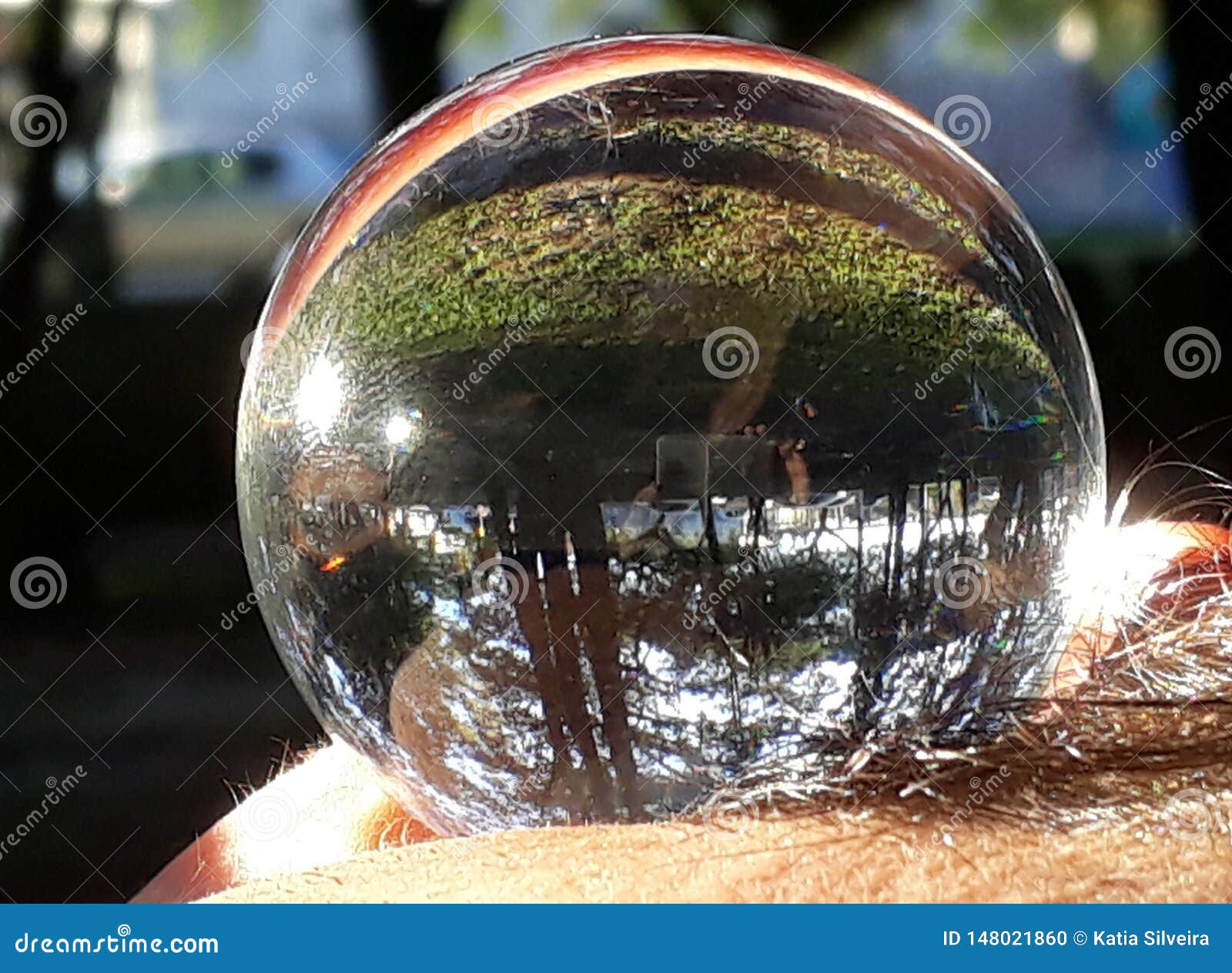 Glass sphere stock photo. Image of beautiful, inverted - 148021860