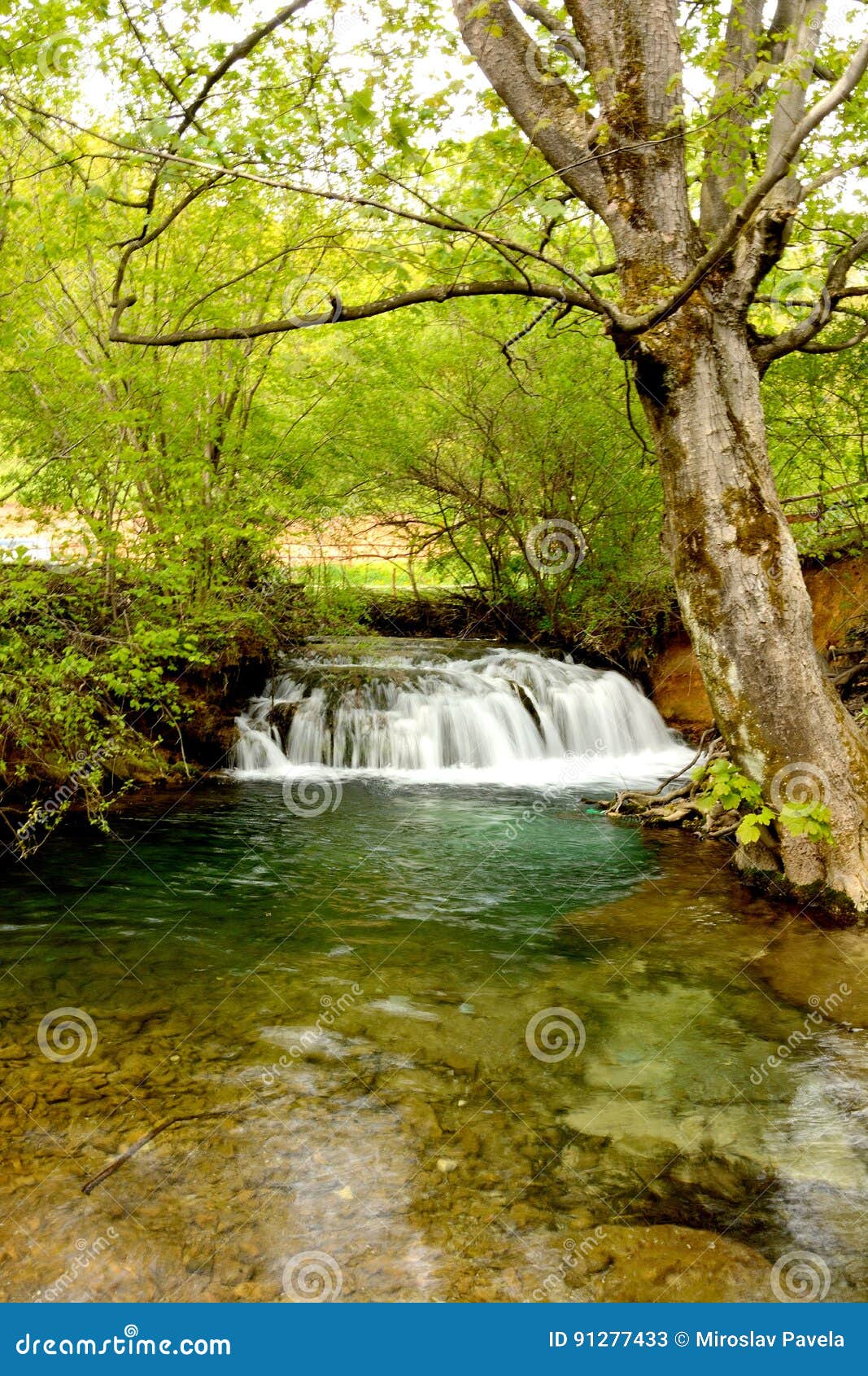Nature in Serbia stock image. Image of enjoy, forest - 91277433