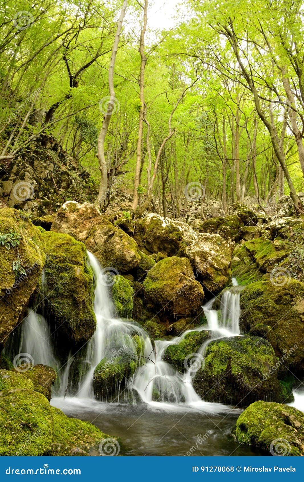 Nature in Serbia stock photo. Image of place, wonderful - 91278068