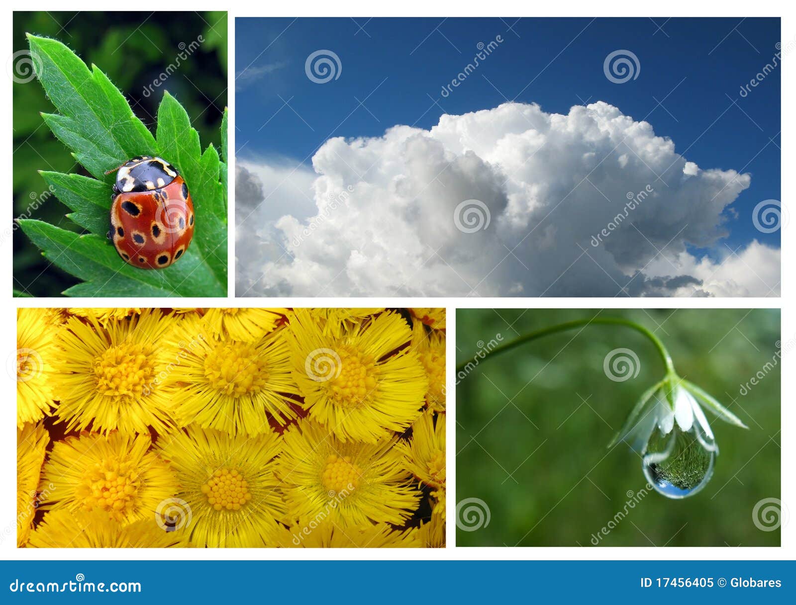 Nature set stock image. Image of collage, drop, coltsfoot - 17456405