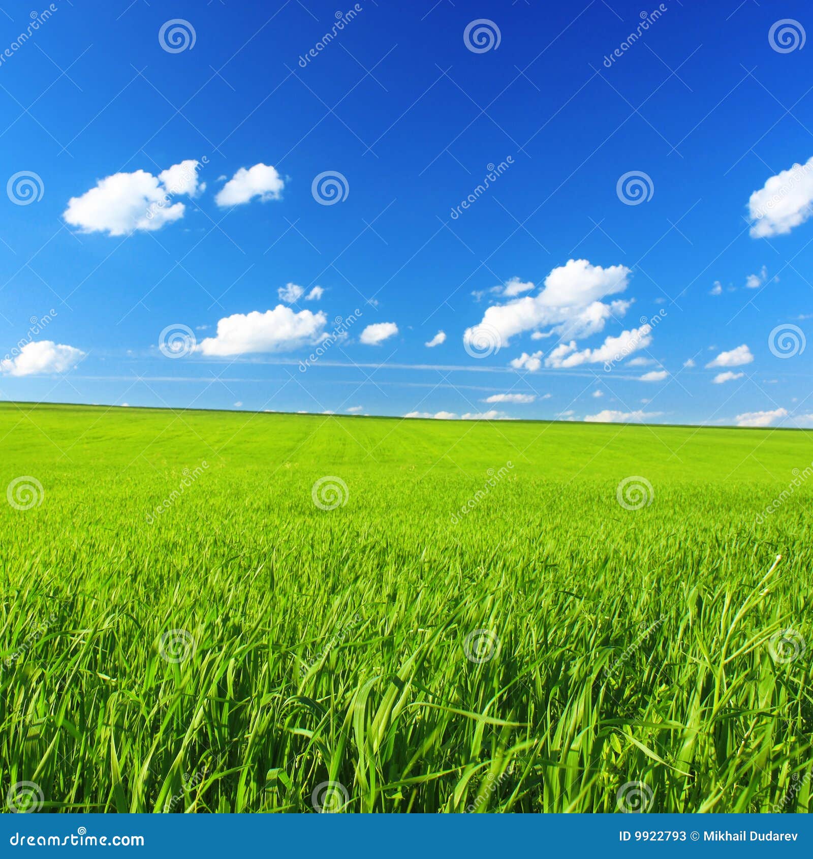 Nature simple image stock. Image du bleu, aéré, rural - 9922793