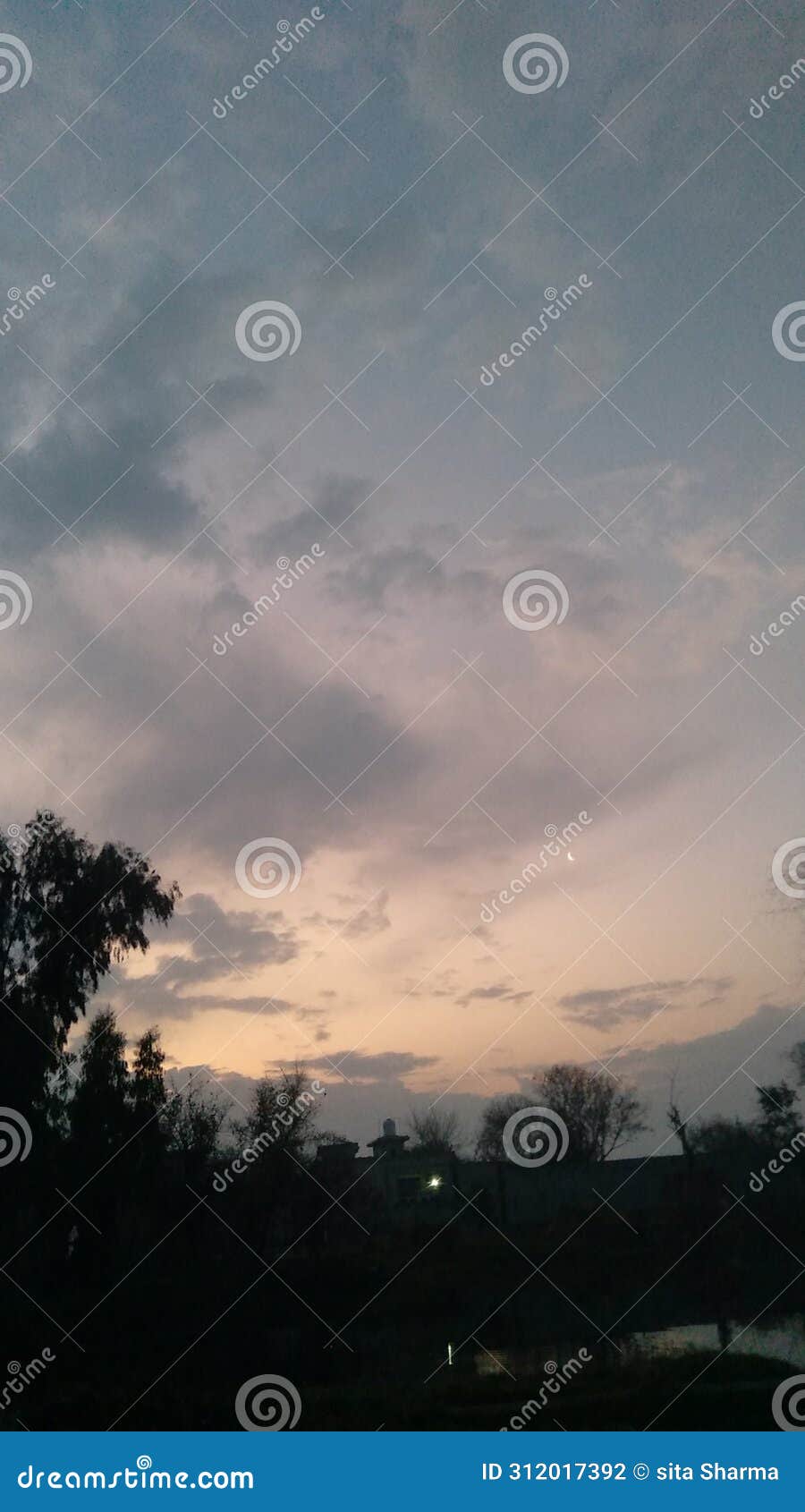 Nature sky clouds sun tree stock photo. Image of nature - 312017392
