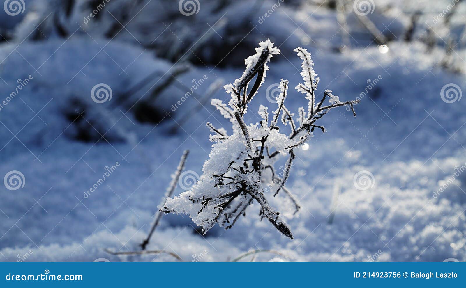 Winter, Mountains, Nature, Clouds, Cold, Nature, Background Stock Photo ...