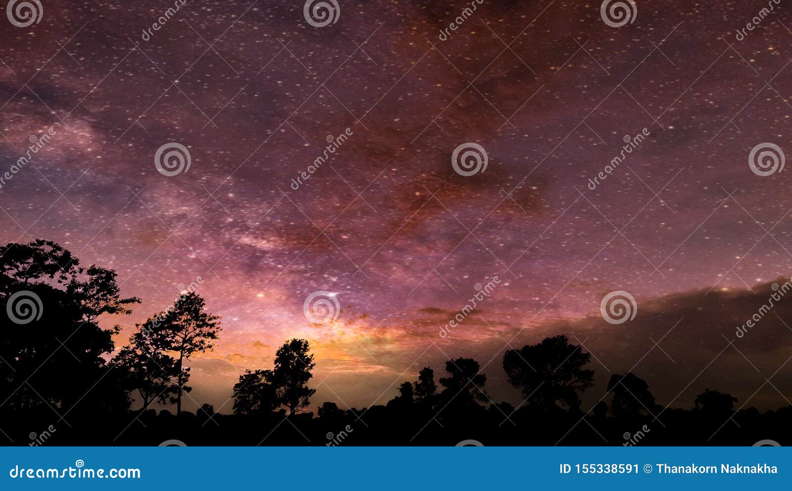 Nature Sky Tree Background of Stars Stock Image - Image of light, scene ...