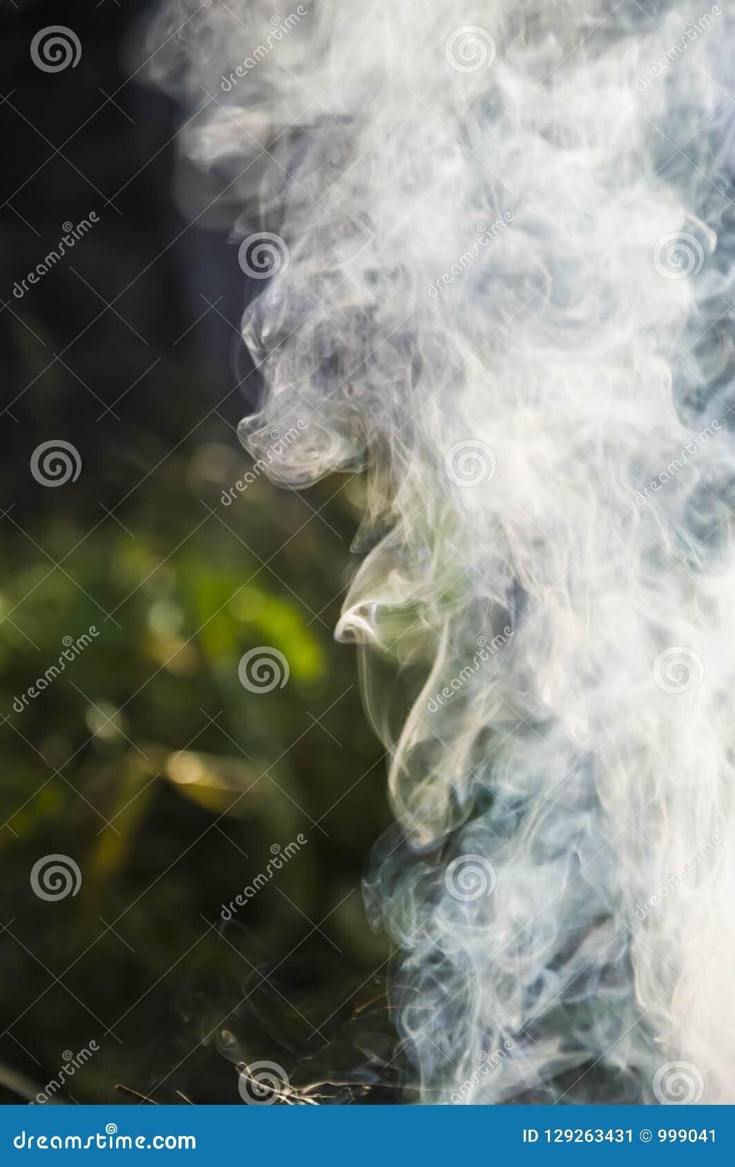 Nature Smoke from the Fire Photo Stock Image - Image of nature, fire ...