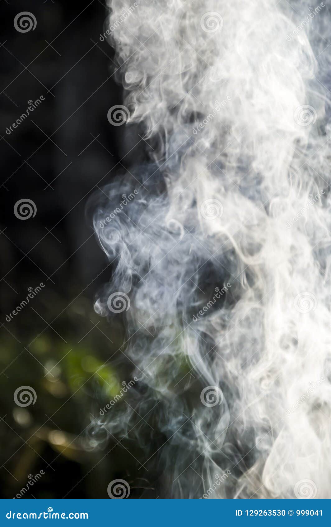 Nature Smoke from the Fire Photo Stock Photo - Image of fire, forest ...