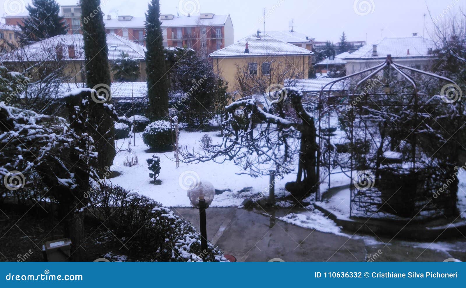 Nature stock photo. Image of cold, snow, nature, garden - 110636332