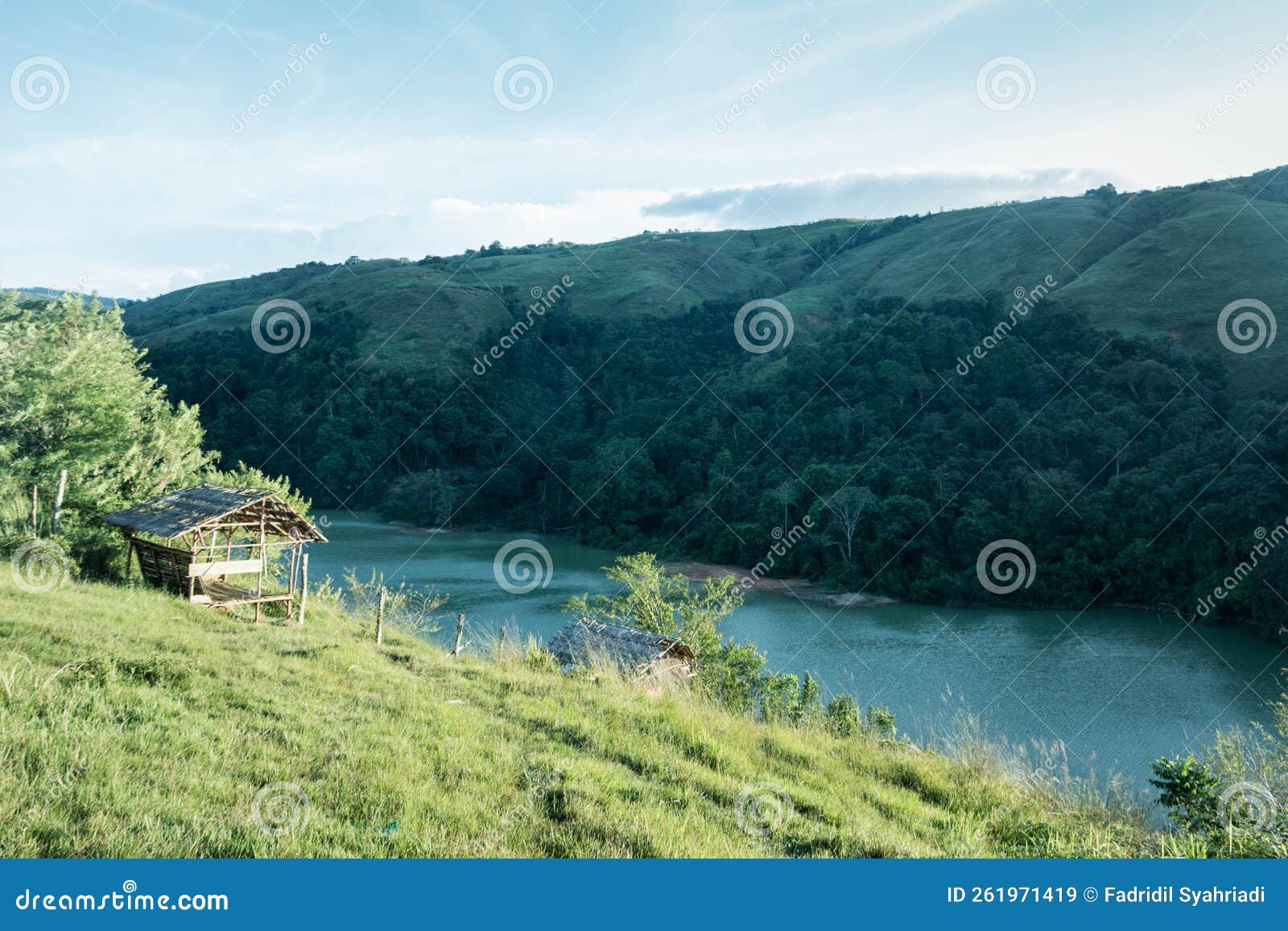 Nature that Soothes the Mind and Soothes Anxiety Stock Image - Image of ...